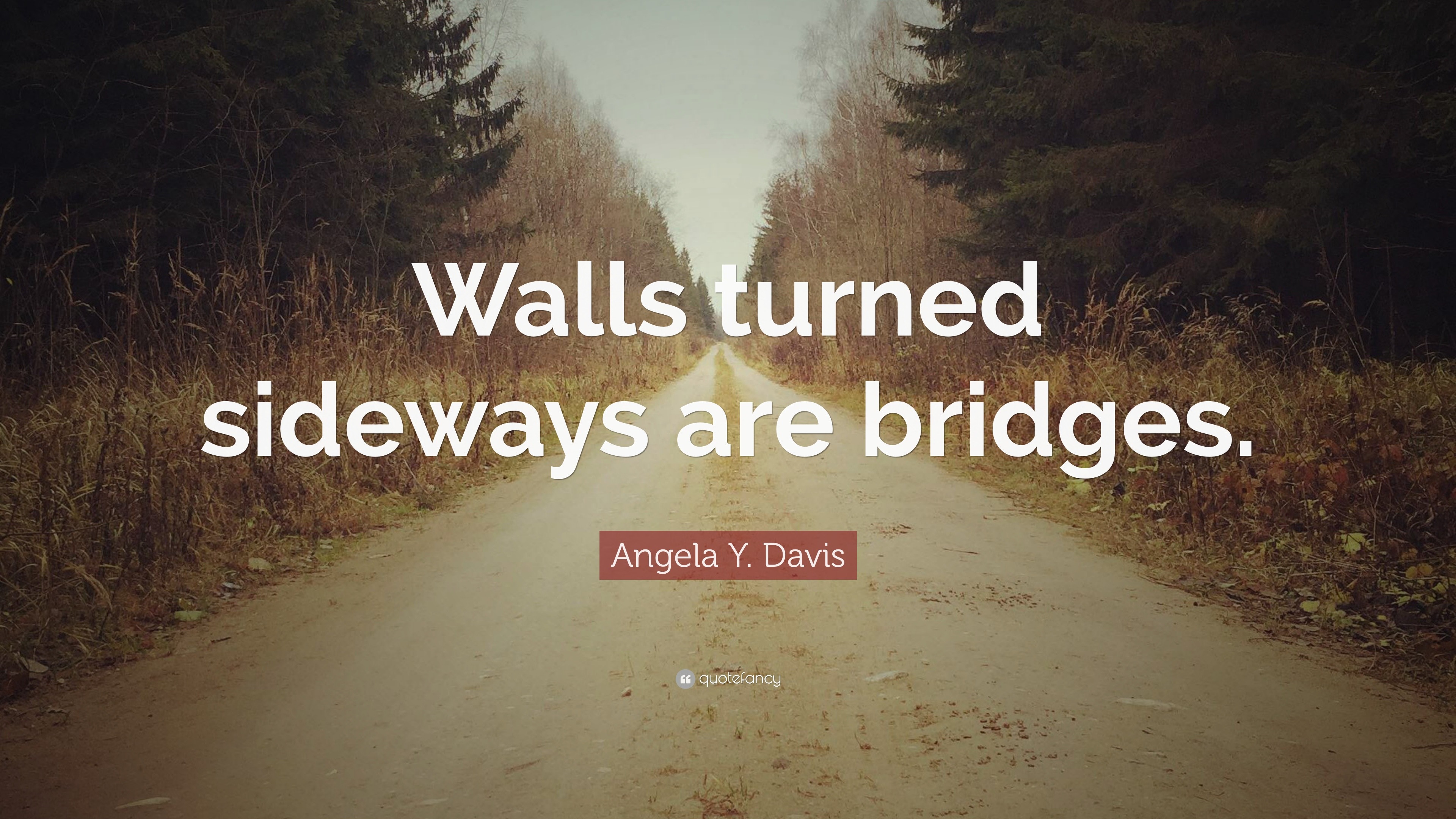 Angela Y. Davis Quote: “Walls turned sideways are bridges.”