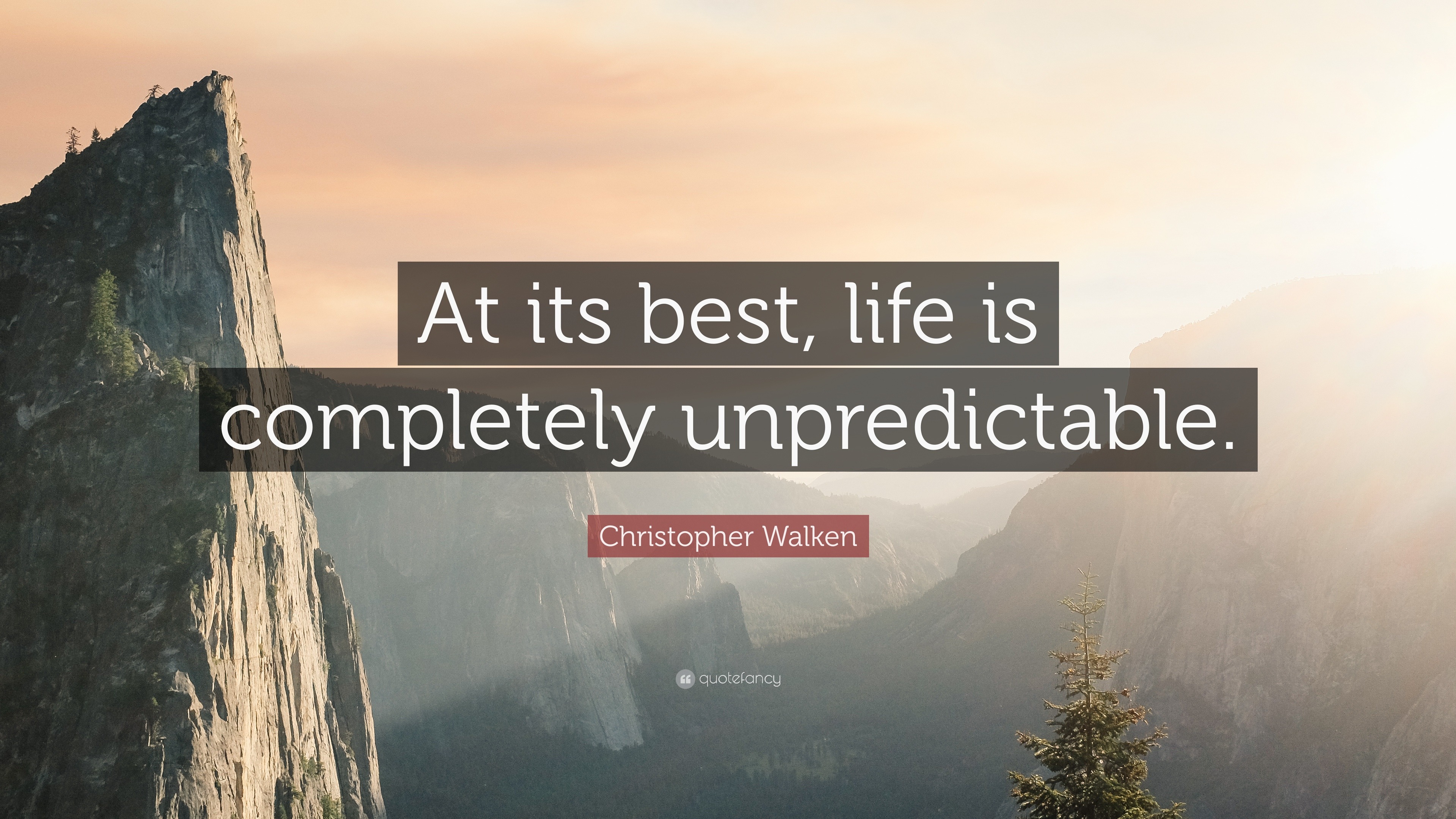 Christopher Walken Quote: “At its best, life is completely unpredictable.”