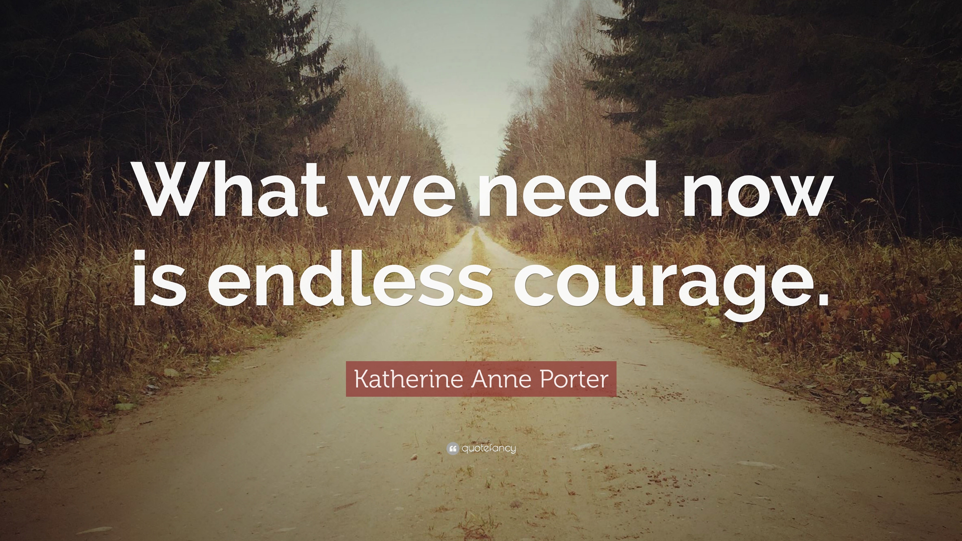 Katherine Anne Porter Quote: “What we need now is endless courage.”