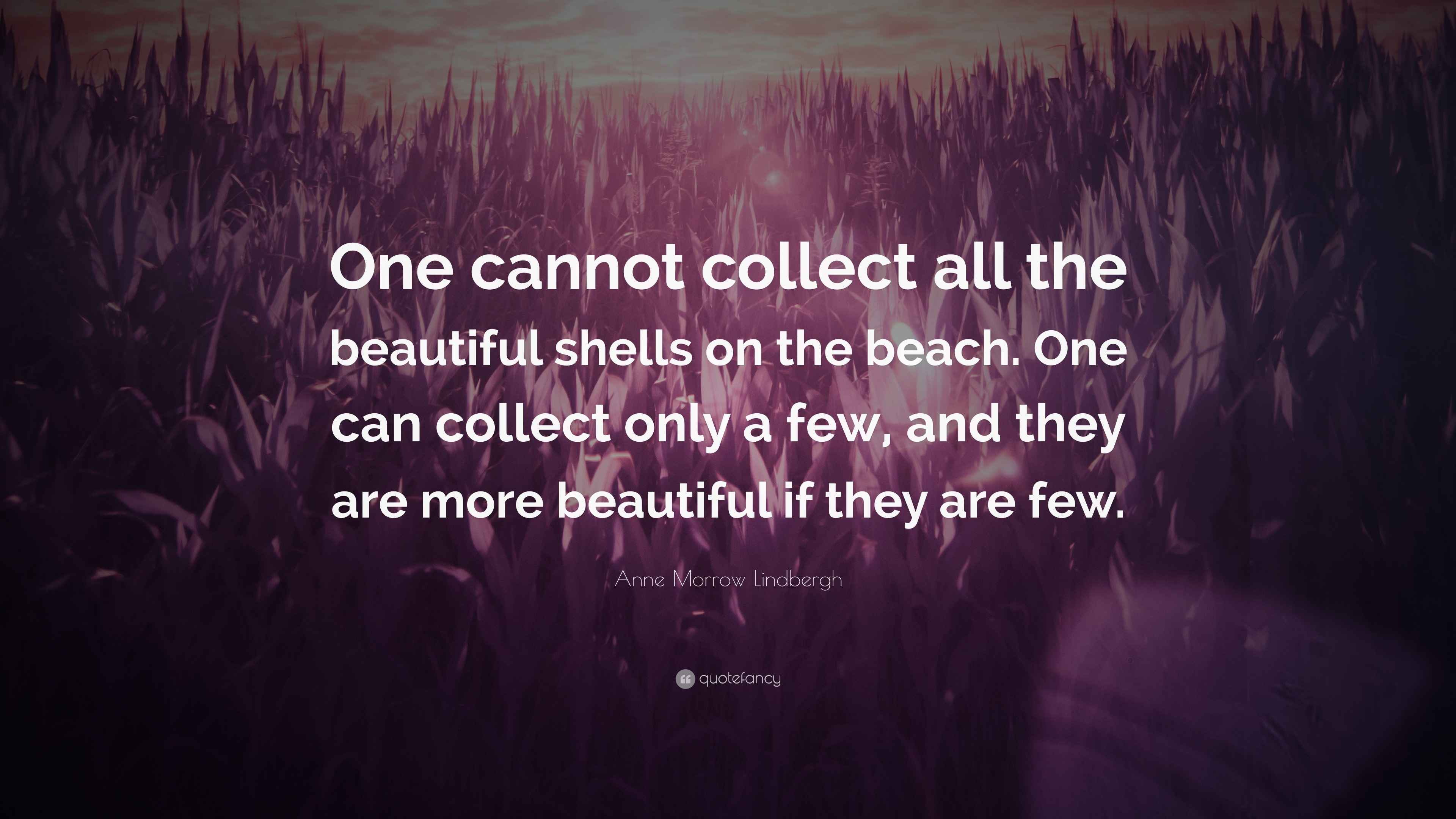 Anne Morrow Lindbergh Quote: “One cannot collect all the beautiful ...