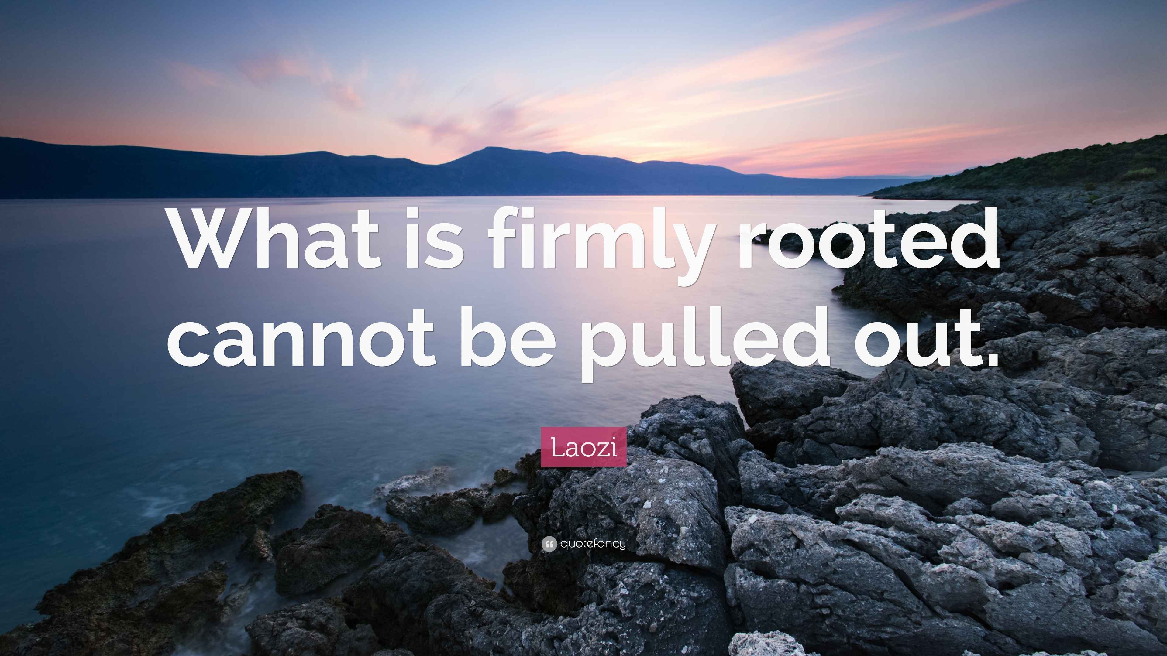 Laozi Quote: “What is firmly rooted cannot be pulled out.”