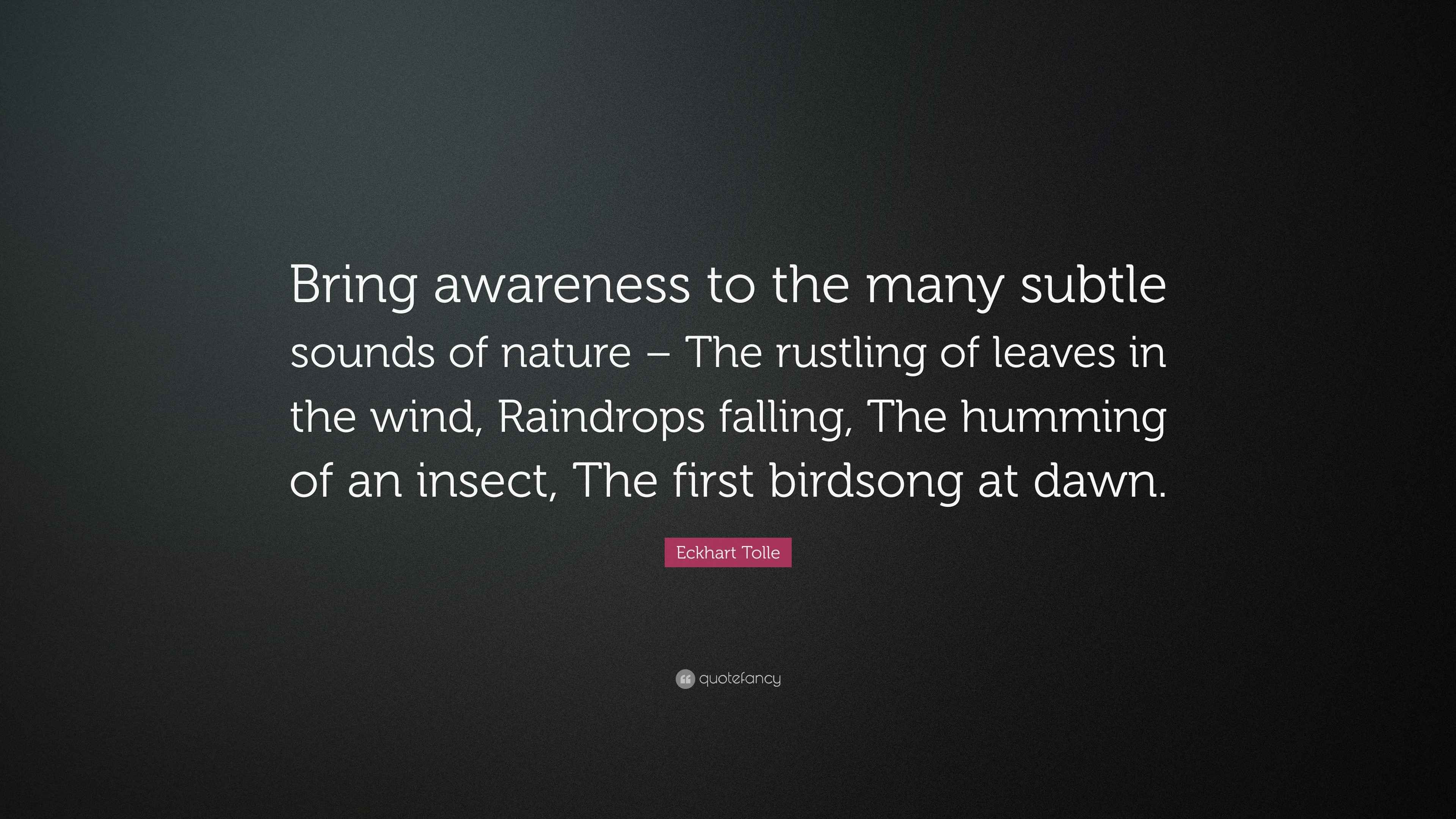 Eckhart Tolle Quote: “Bring awareness to the many subtle sounds of ...