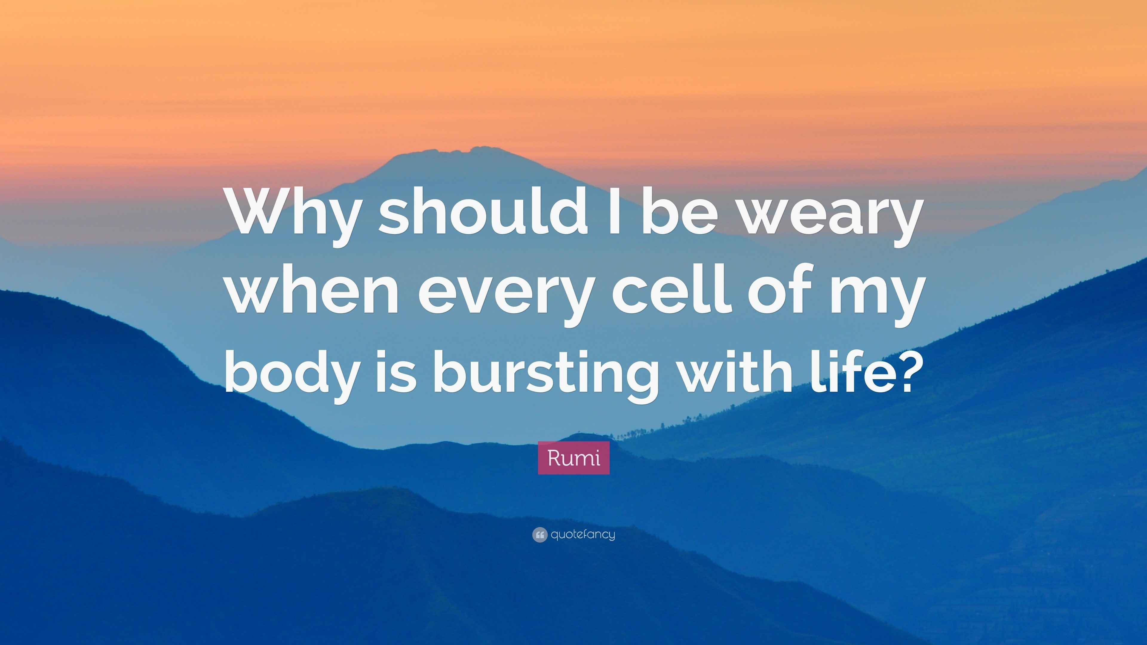 Rumi Quote: “Why should I be weary when every cell of my body is ...