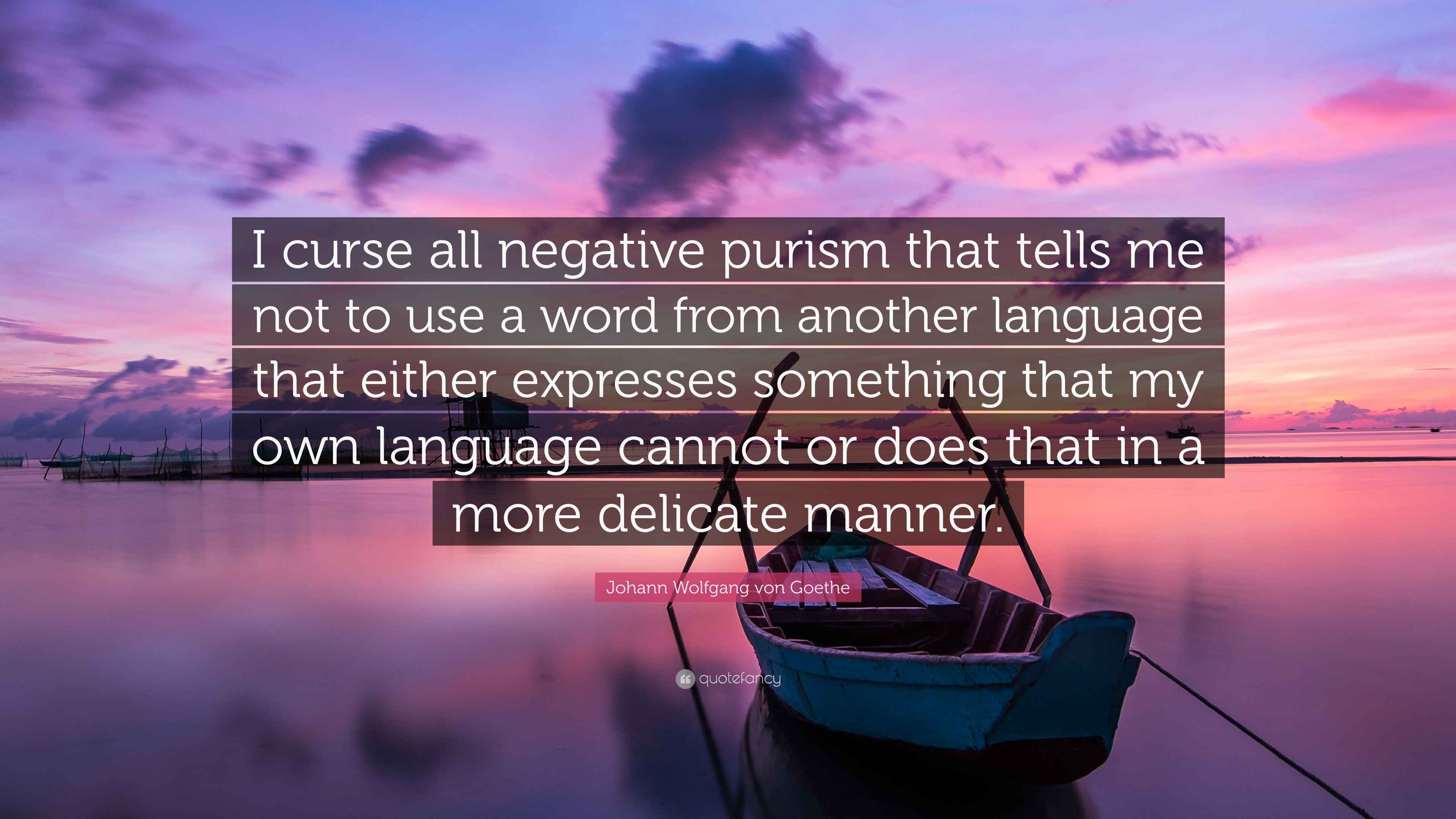 Johann Wolfgang von Goethe Quote: “I curse all negative purism that ...