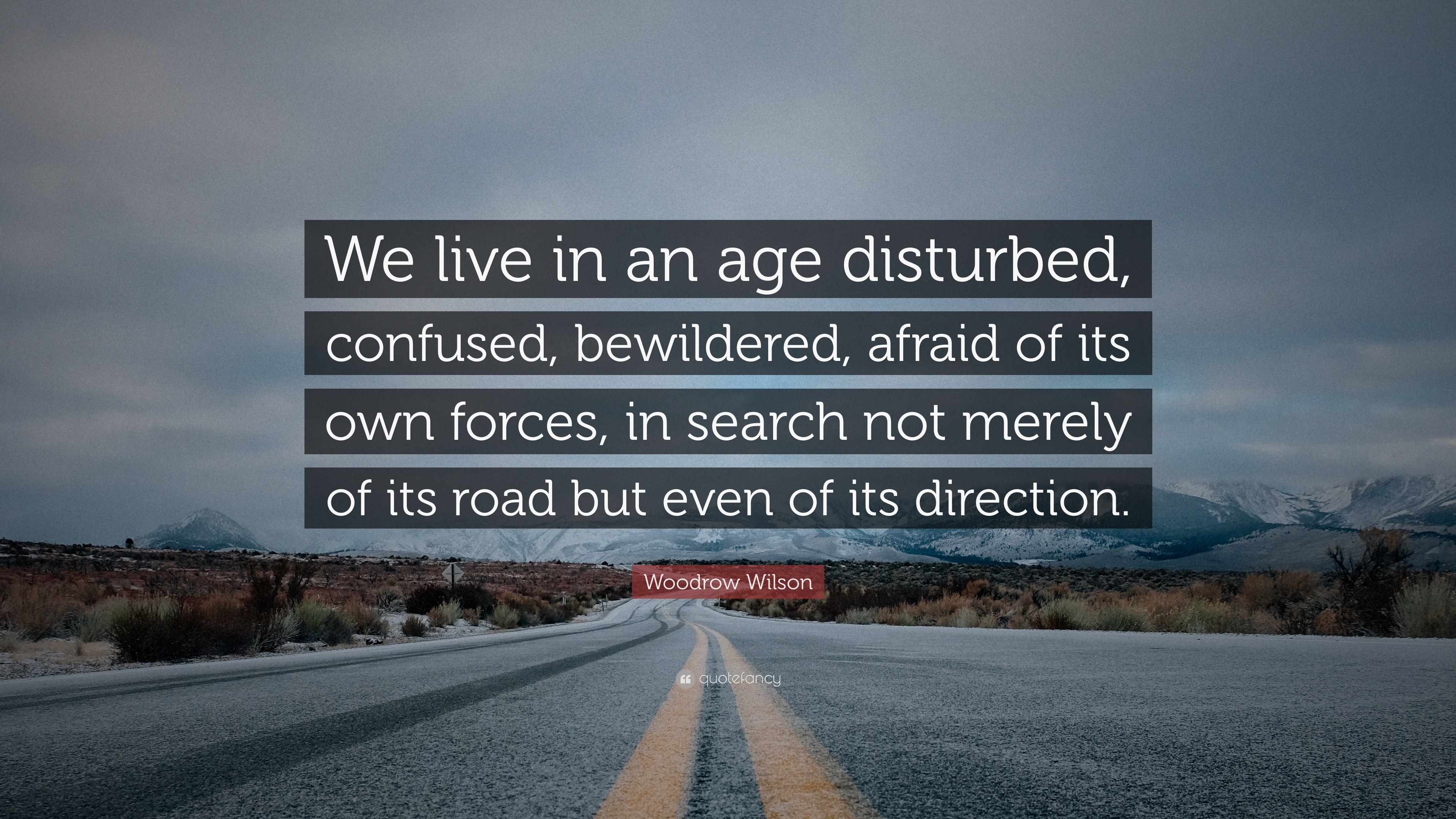 Woodrow Wilson Quote: “We live in an age disturbed, confused ...