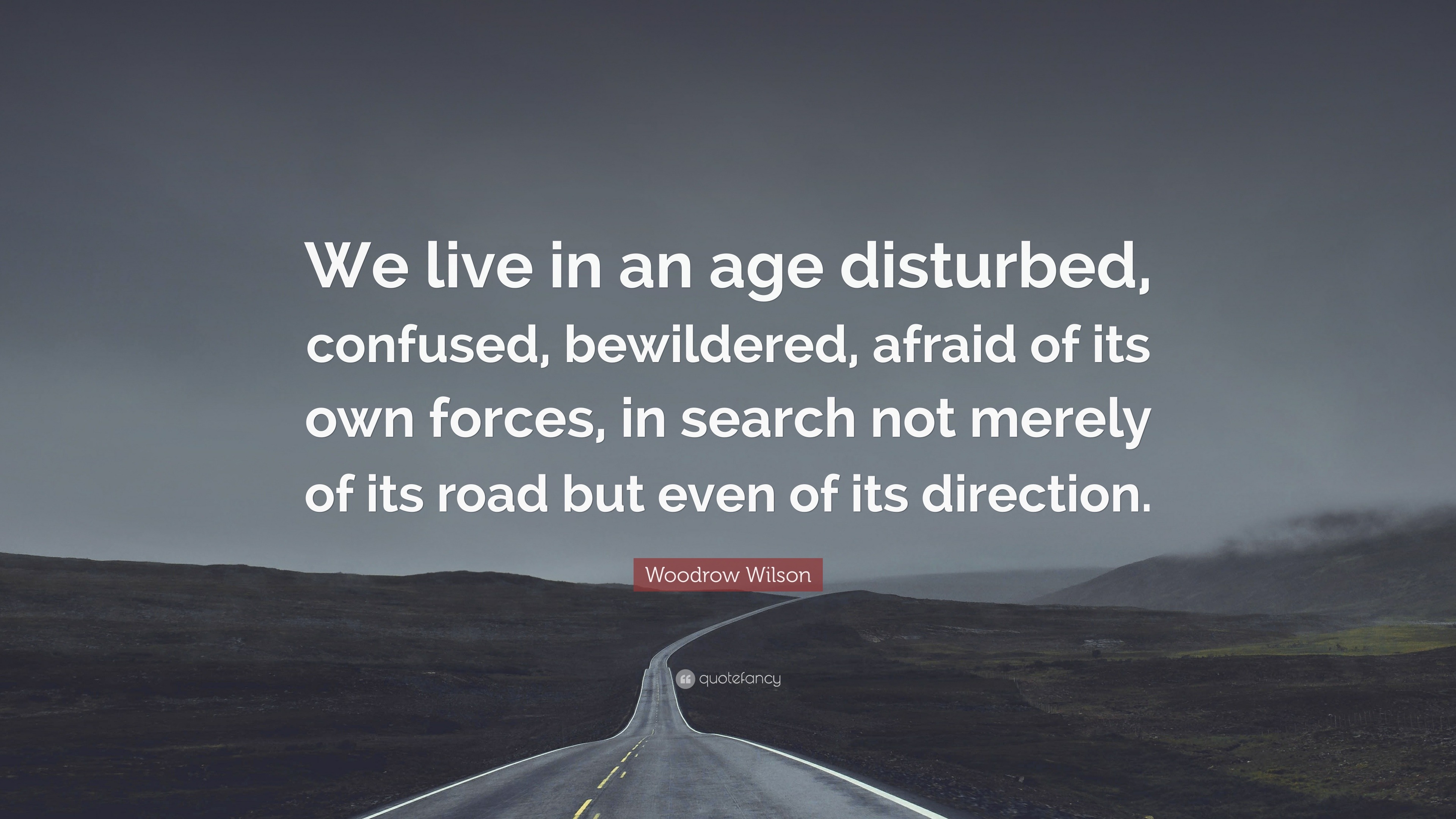 Woodrow Wilson Quote: “We live in an age disturbed, confused ...