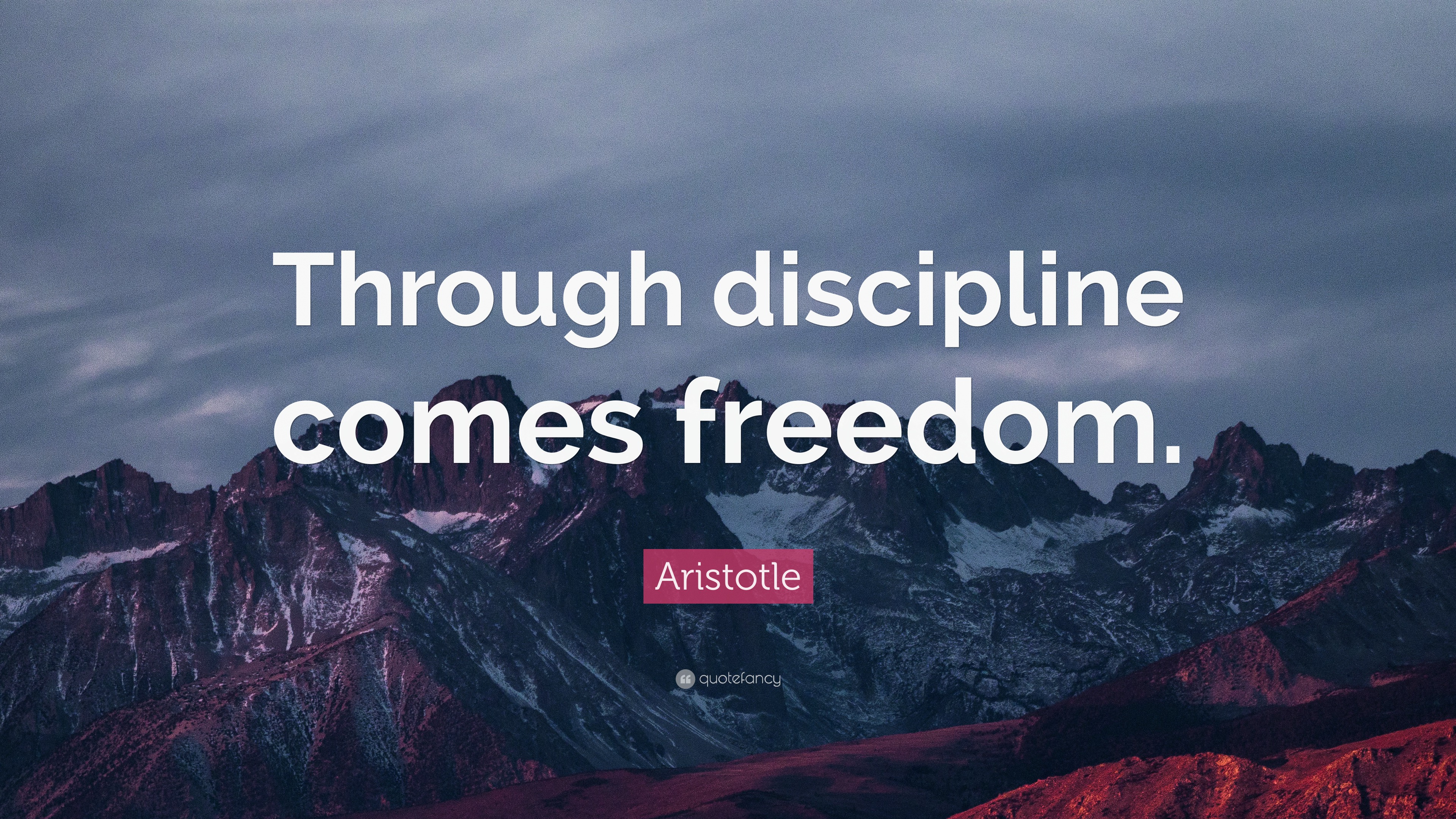 Aristotle Quote: “Through discipline comes freedom.”