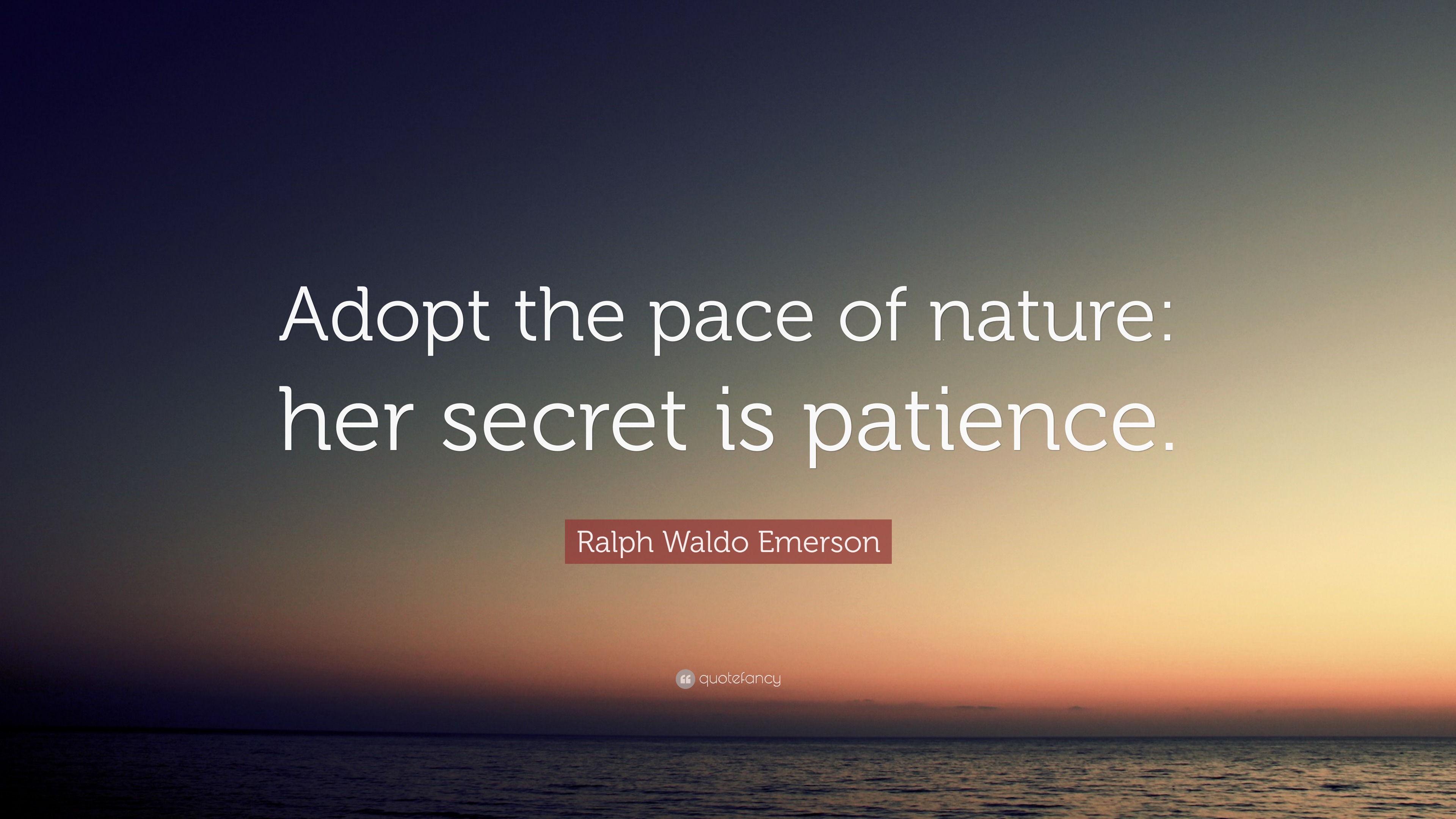 Ralph Waldo Emerson Quote: “Adopt the pace of nature: her secret is patience.”