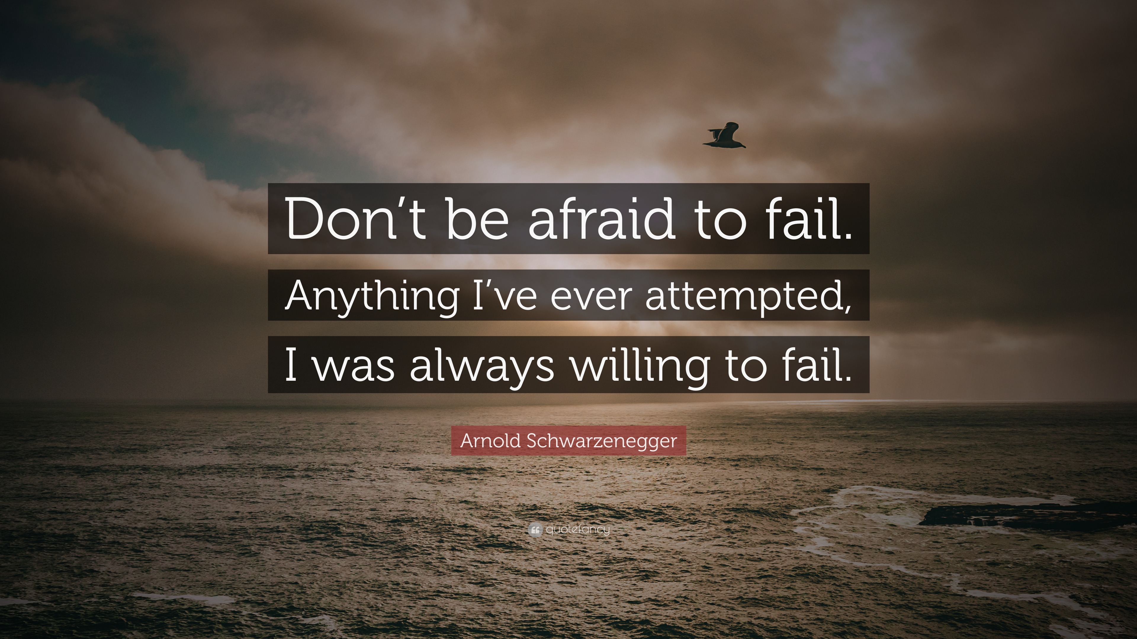 Arnold Schwarzenegger Quote: “Don’t be afraid to fail. Anything I’ve ...