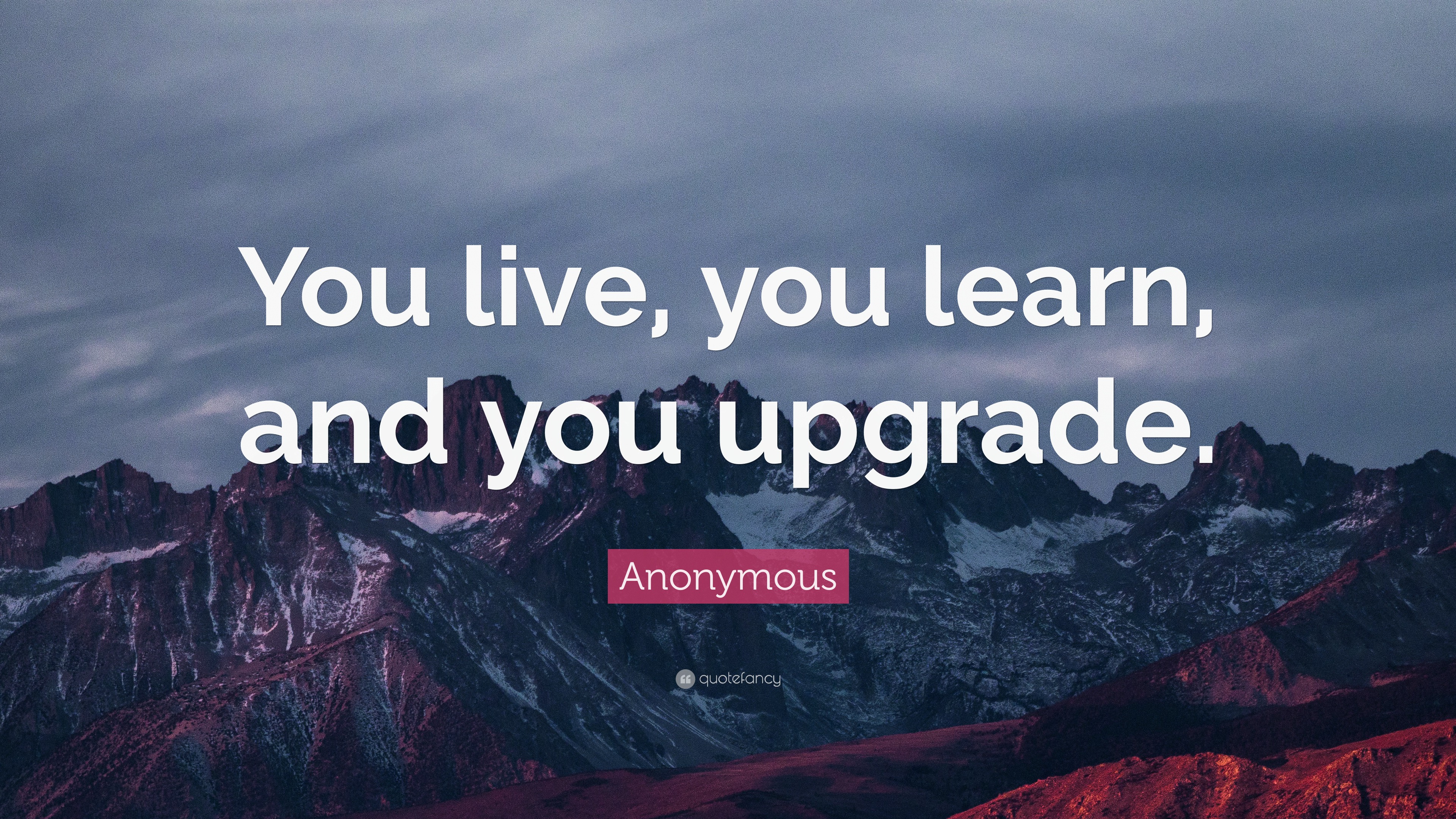 Anonymous Quote: “You live, you learn, and you upgrade.”