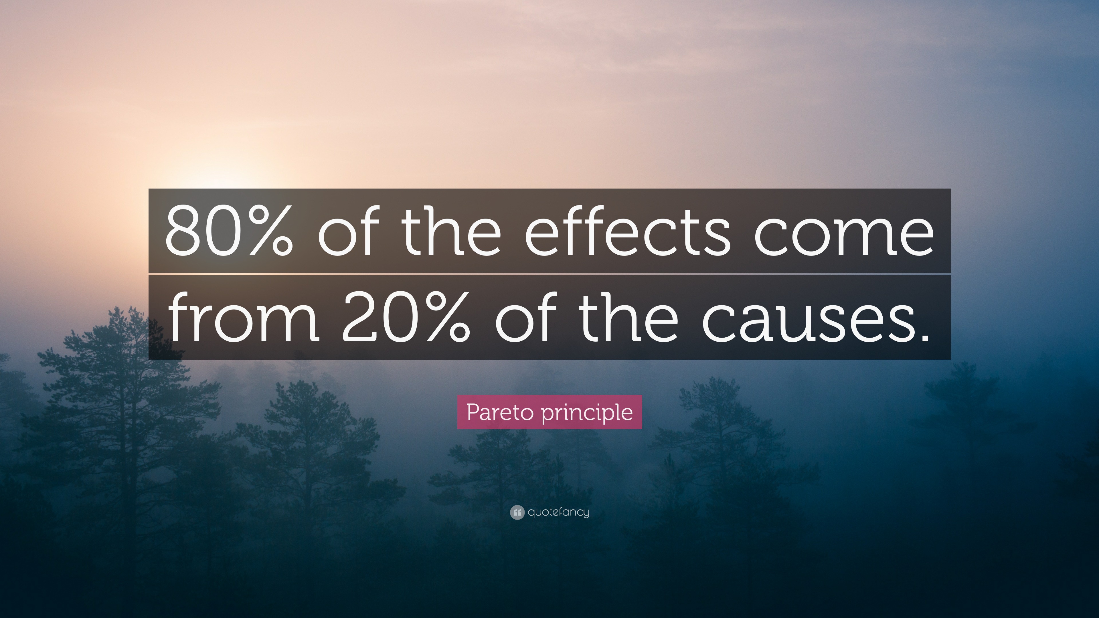 Pareto principle Quote: “80% of the effects come from 20% of the causes.”