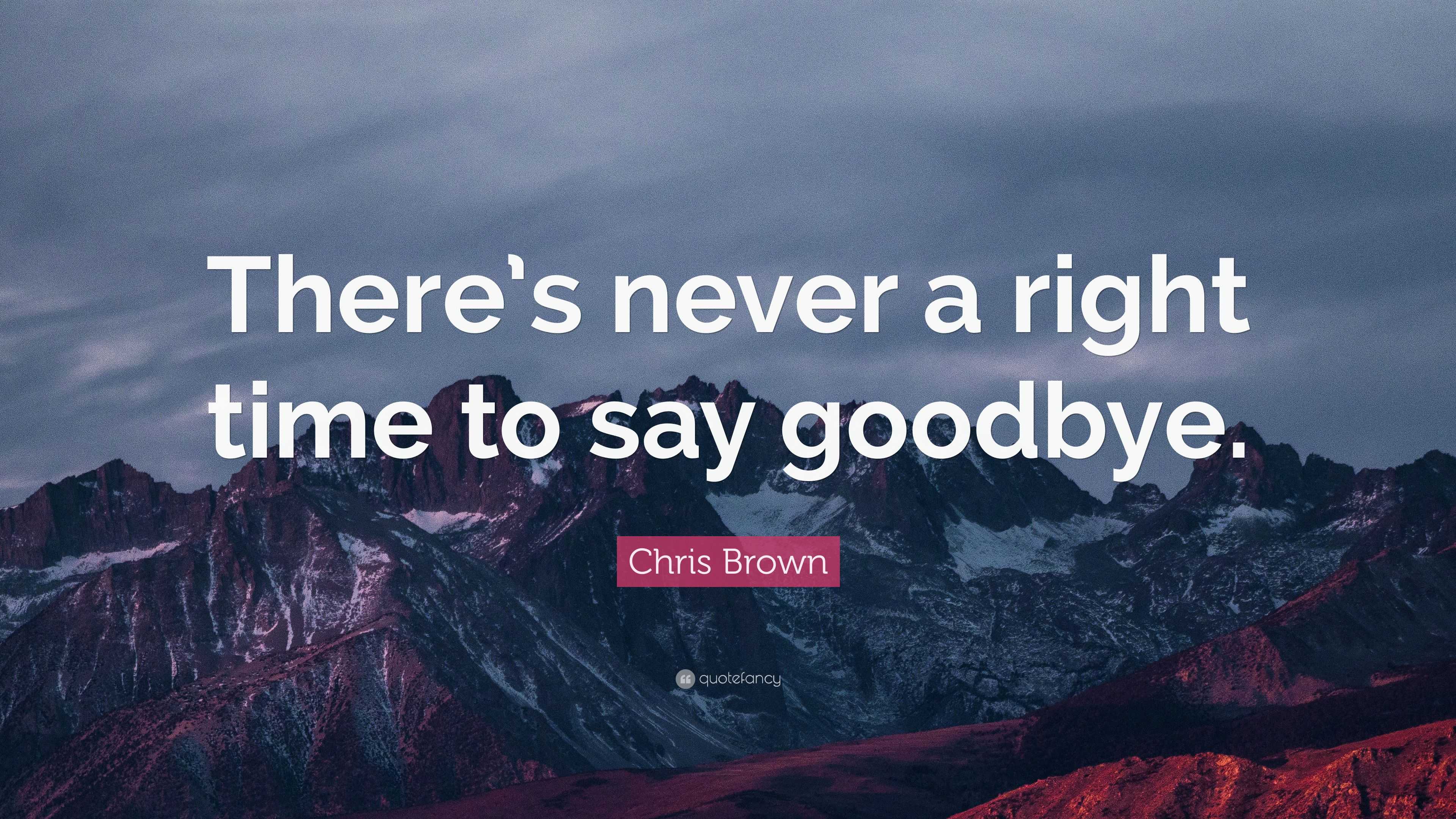 Chris Brown Quote: “There’s never a right time to say goodbye.”