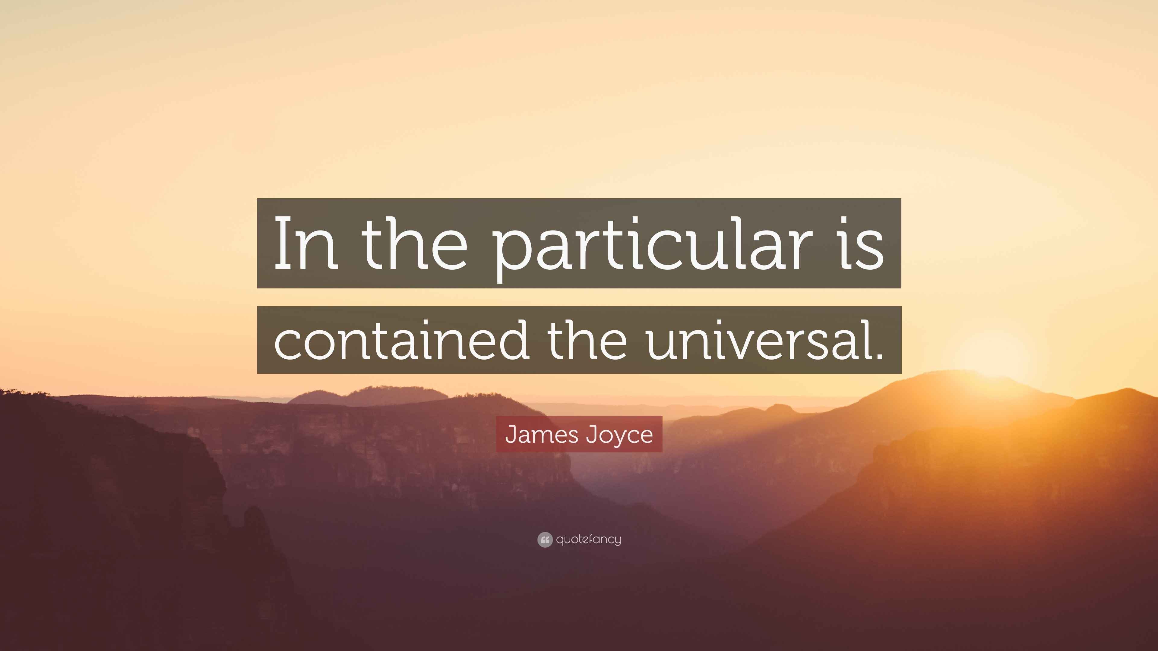 James Joyce Quote: “In the particular is contained the universal.”