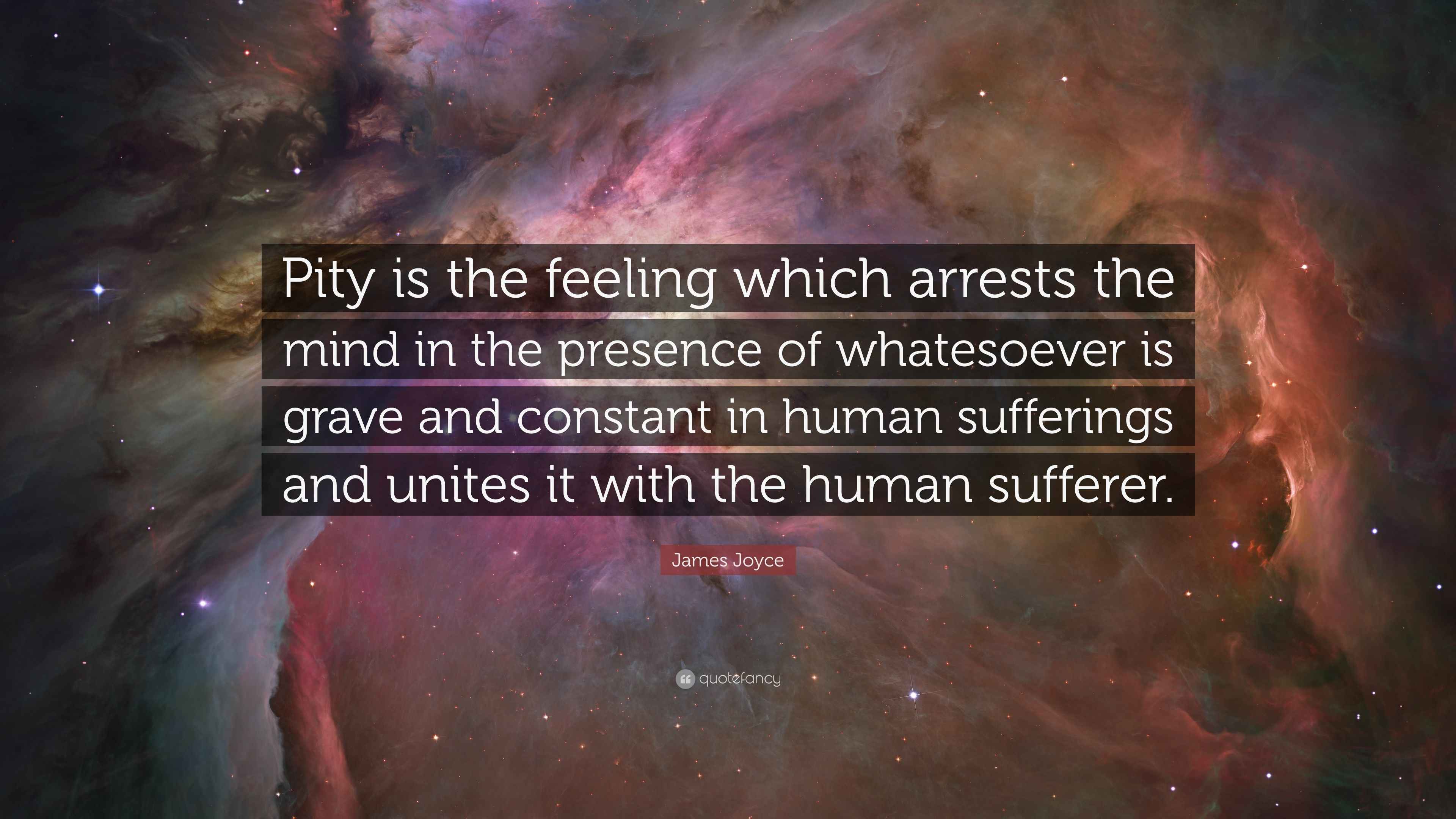 James Joyce Quote: “Pity is the feeling which arrests the mind in the ...
