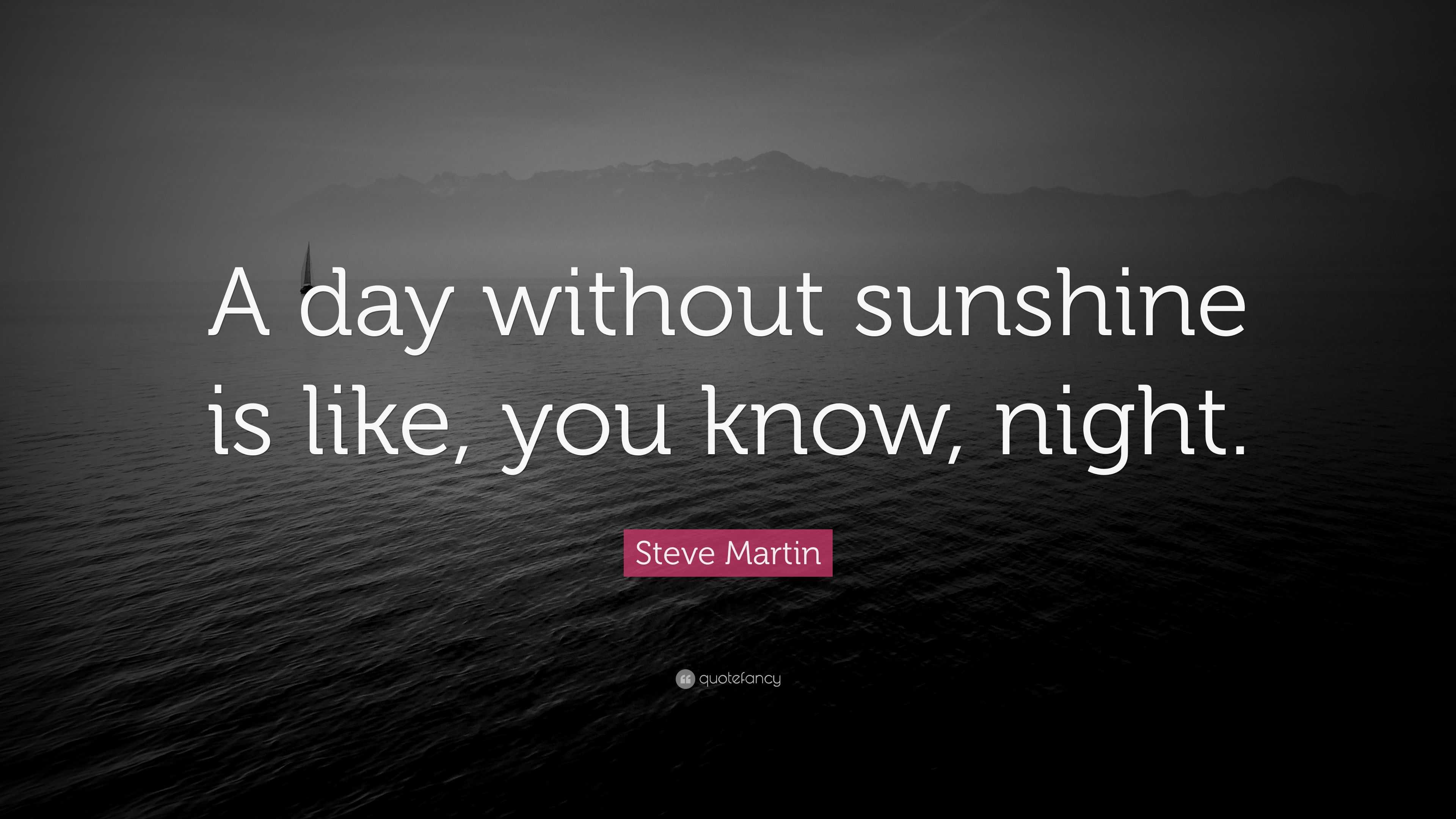 Steve Martin Quote: “A day without sunshine is like, you know, night.”