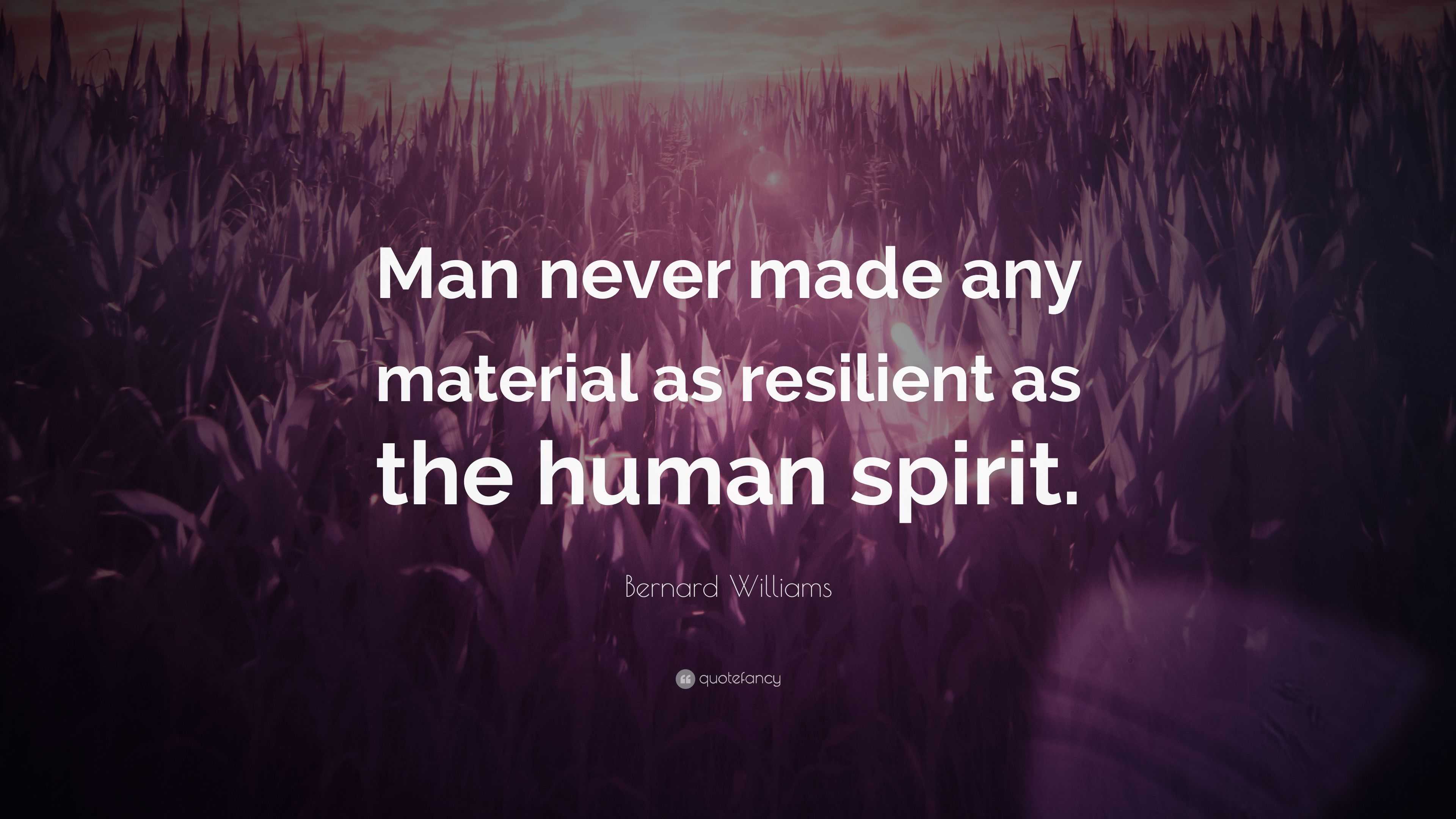 Bernard Williams Quote: “Man never made any material as resilient as ...