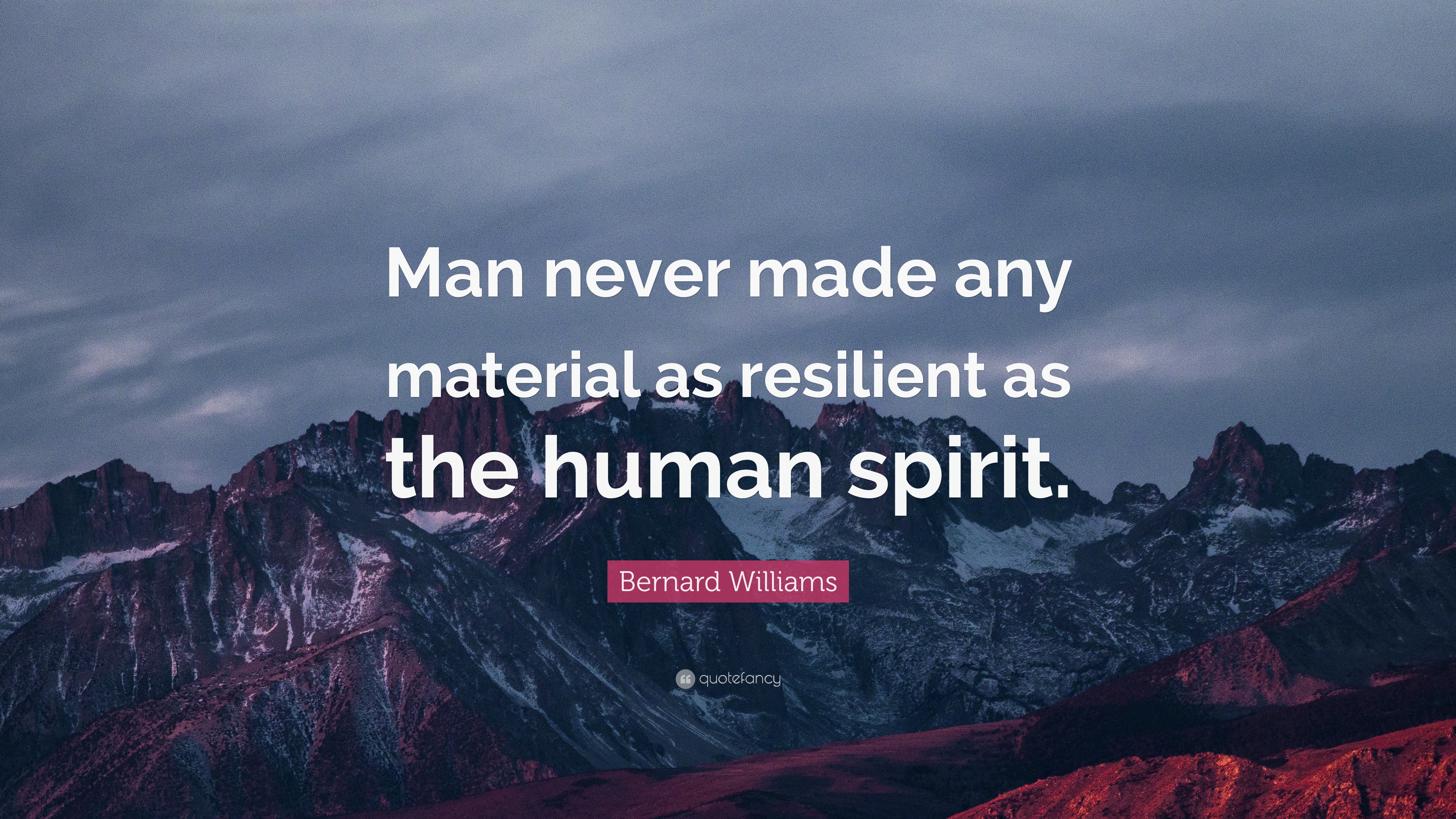 Bernard Williams Quote: “Man never made any material as resilient as ...