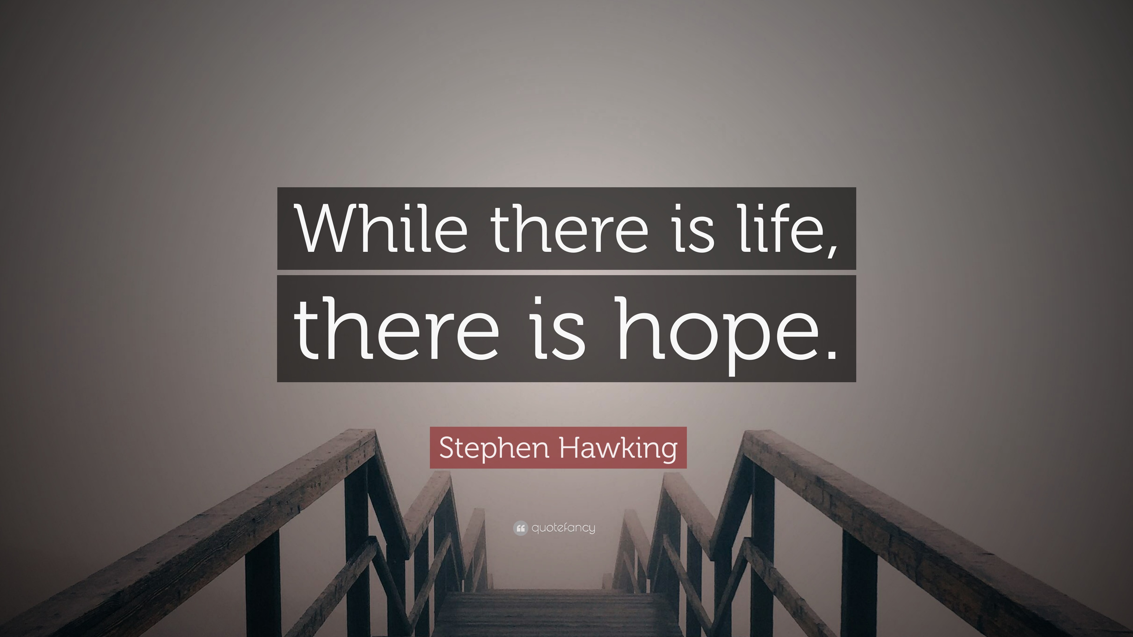 Stephen Hawking Quote: “While there is life, there is hope.”