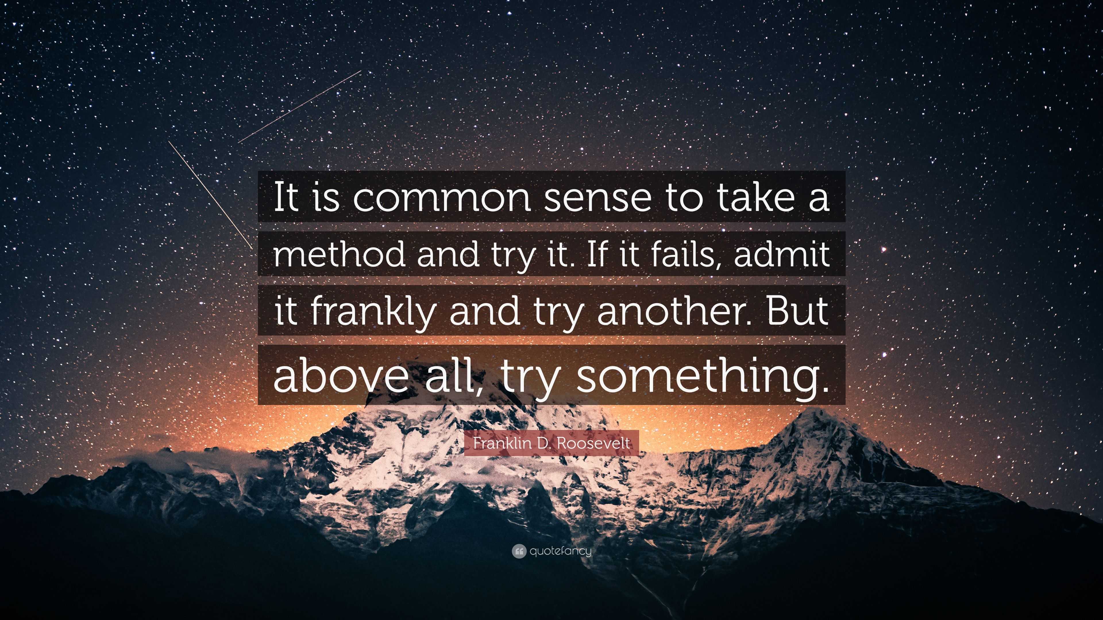 Franklin D. Roosevelt Quote: “It is common sense to take a method and ...