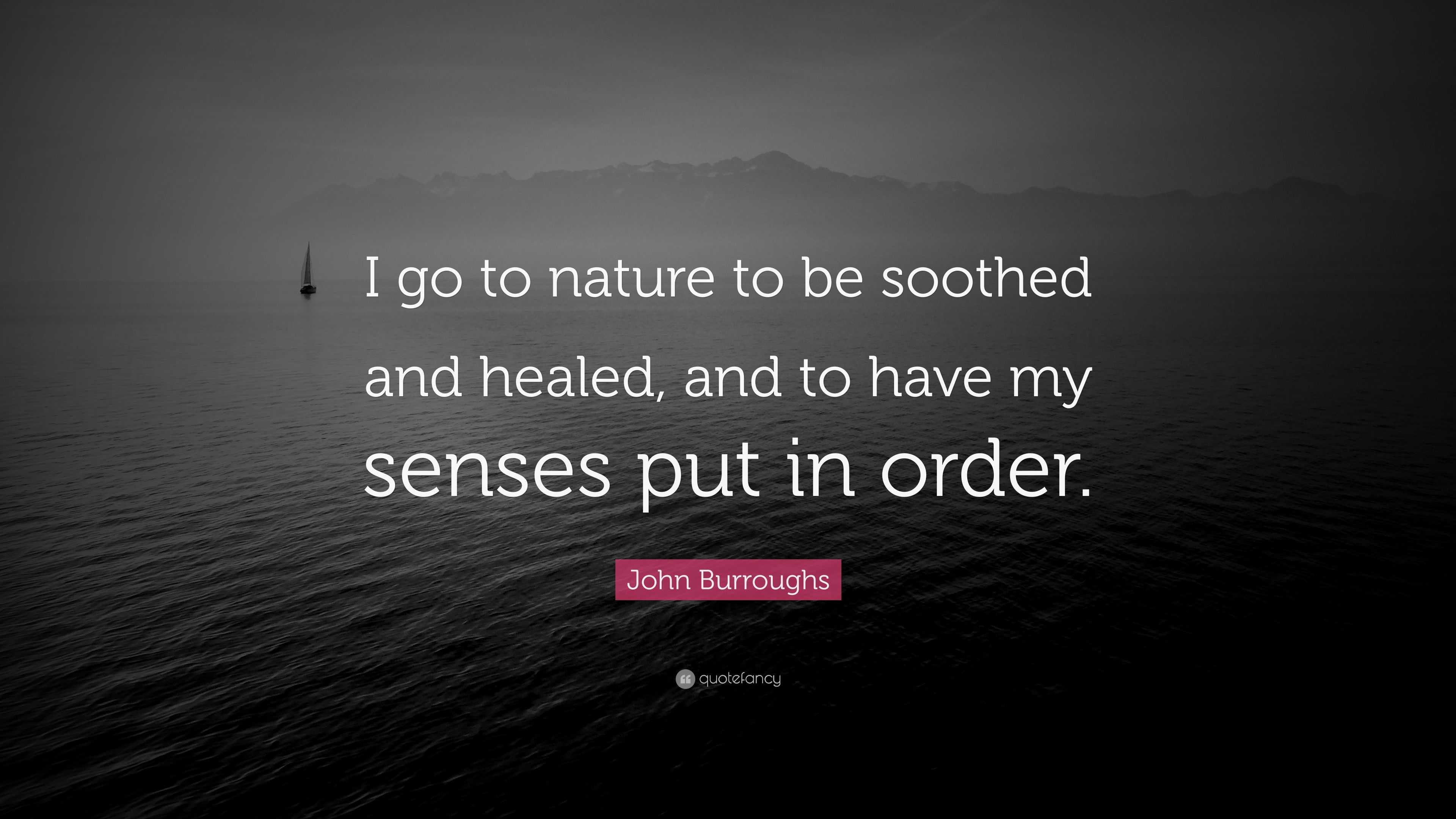 John Burroughs Quote: “I go to nature to be soothed and healed, and to ...