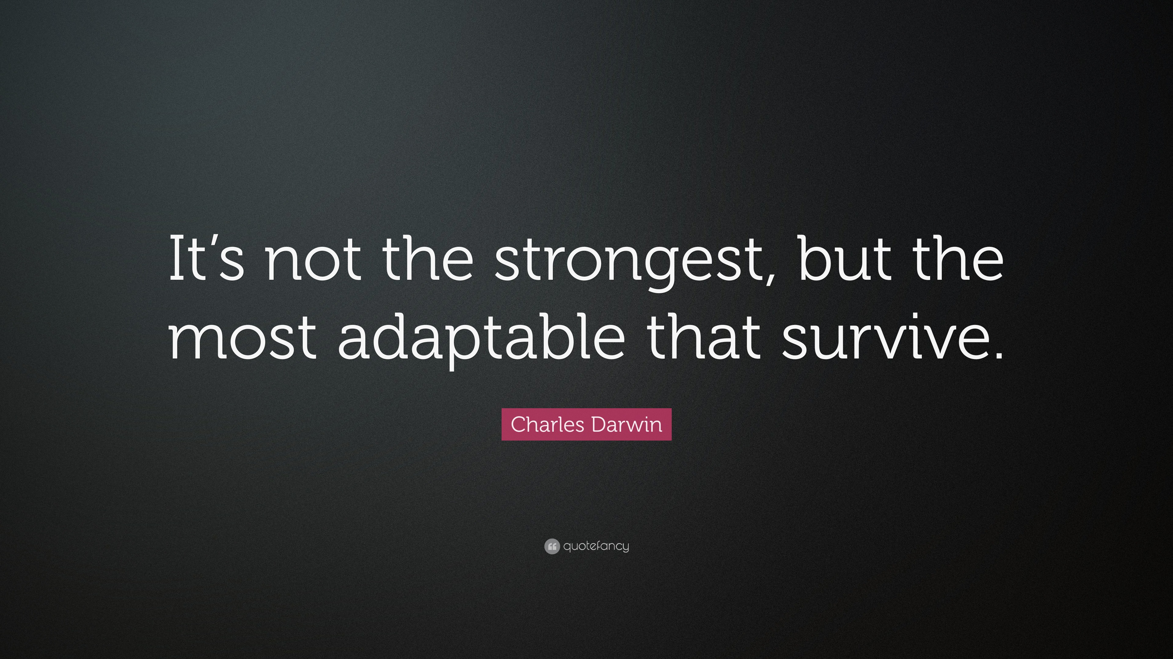 Charles Darwin Quote: “It’s not the strongest, but the most adaptable ...