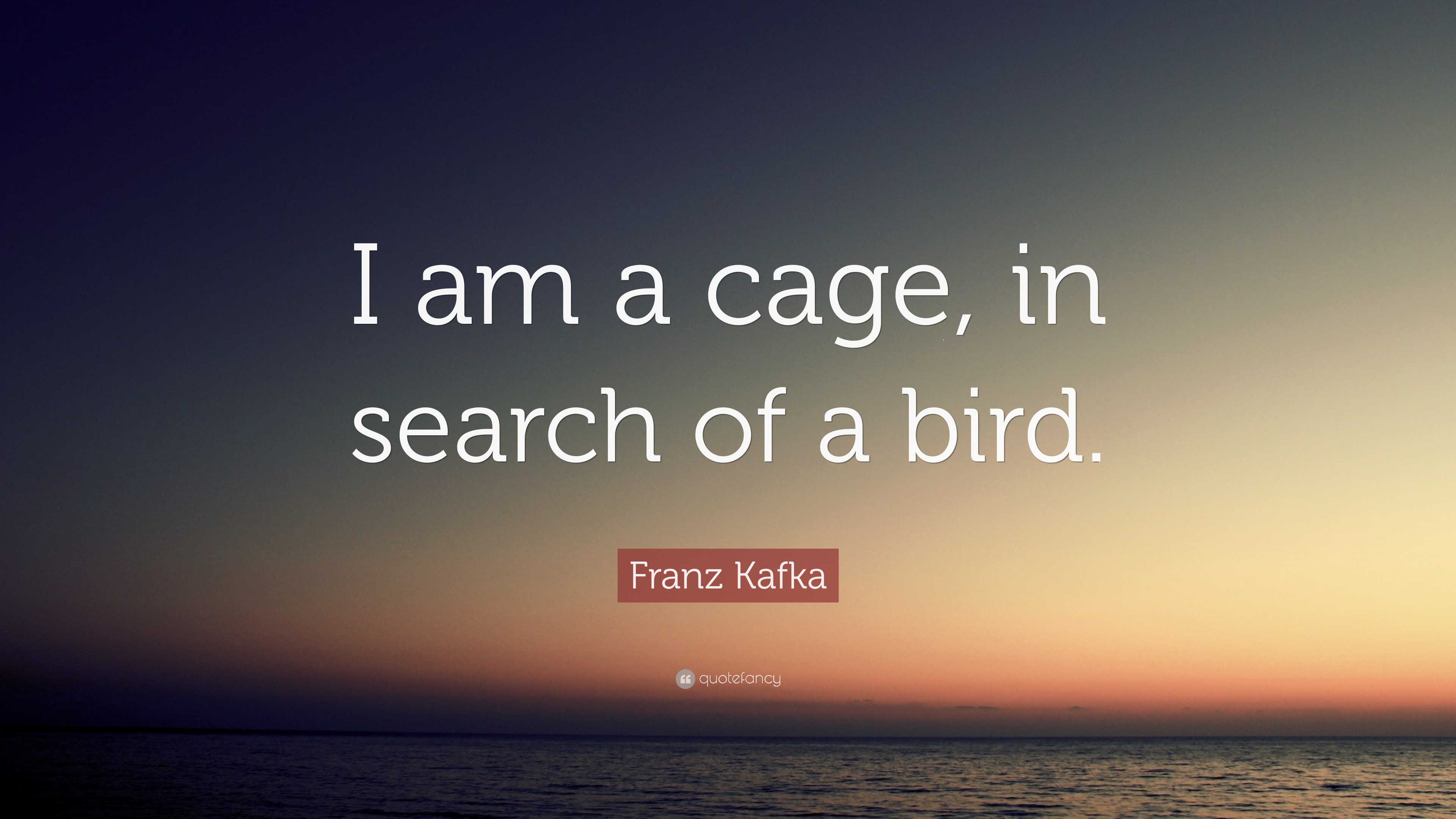 Franz Kafka Quote: “I am a cage, in search of a bird.”