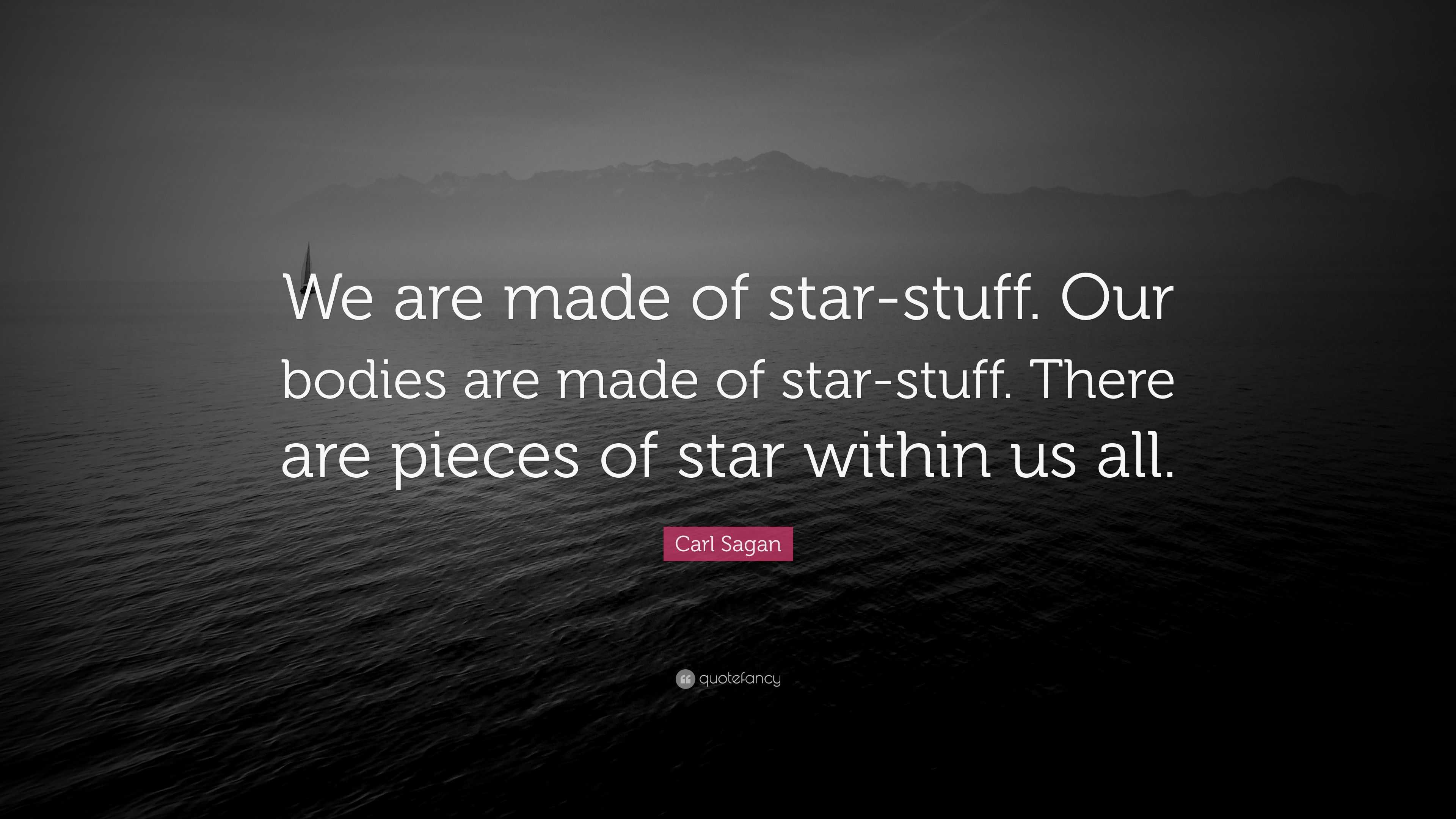 Carl Sagan Quote: “We are made of star-stuff. Our bodies are made of ...