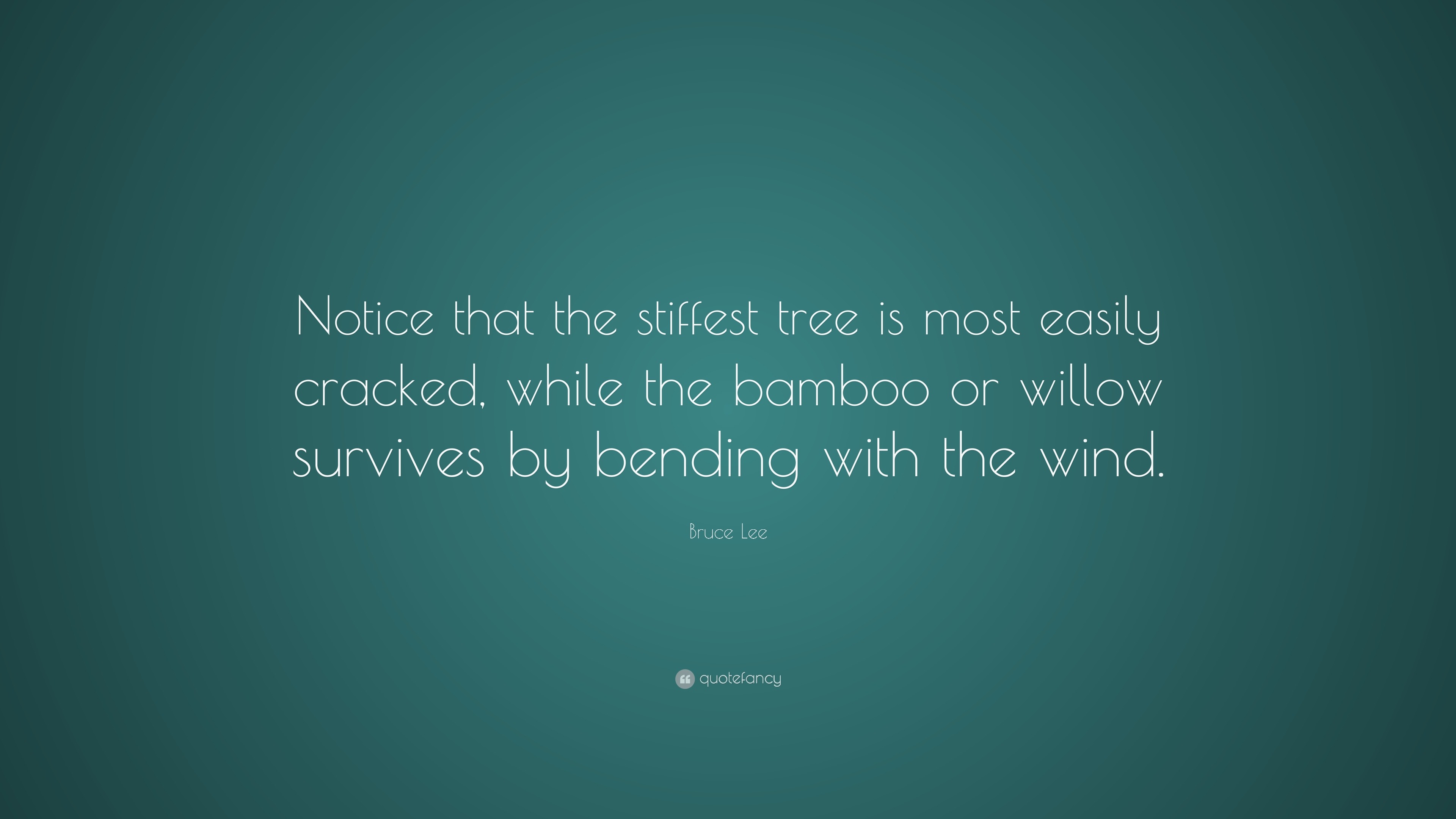 Bruce Lee Quote: “Notice that the stiffest tree is most easily cracked ...