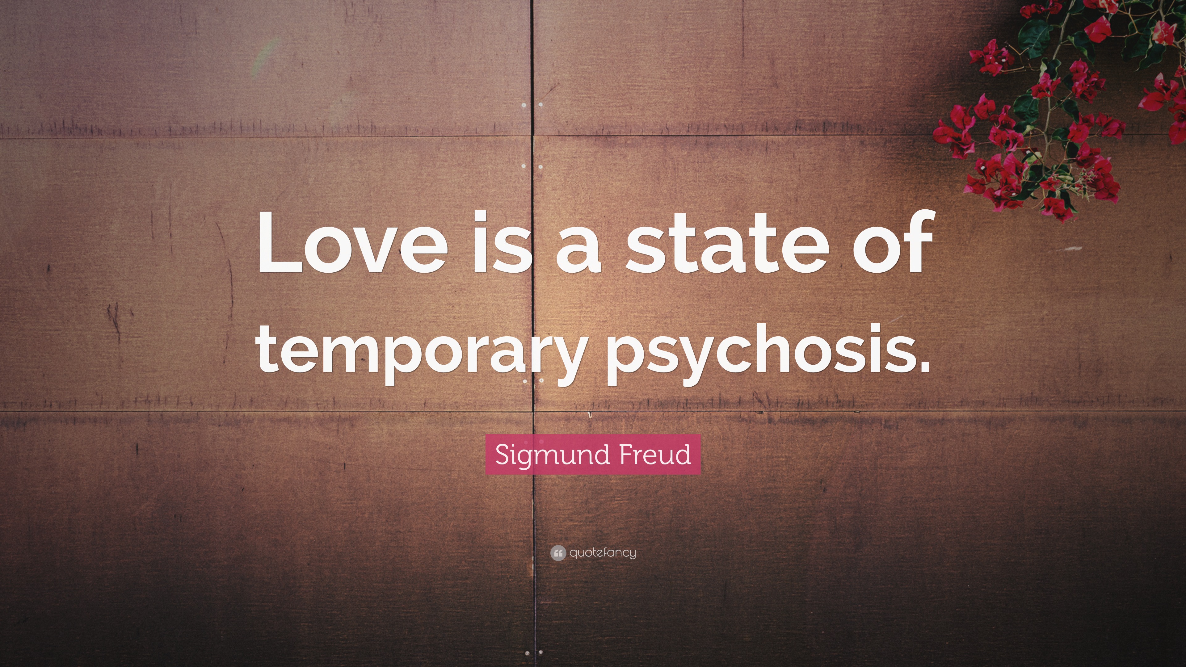 Sigmund Freud Quote: “Love is a state of temporary psychosis.”