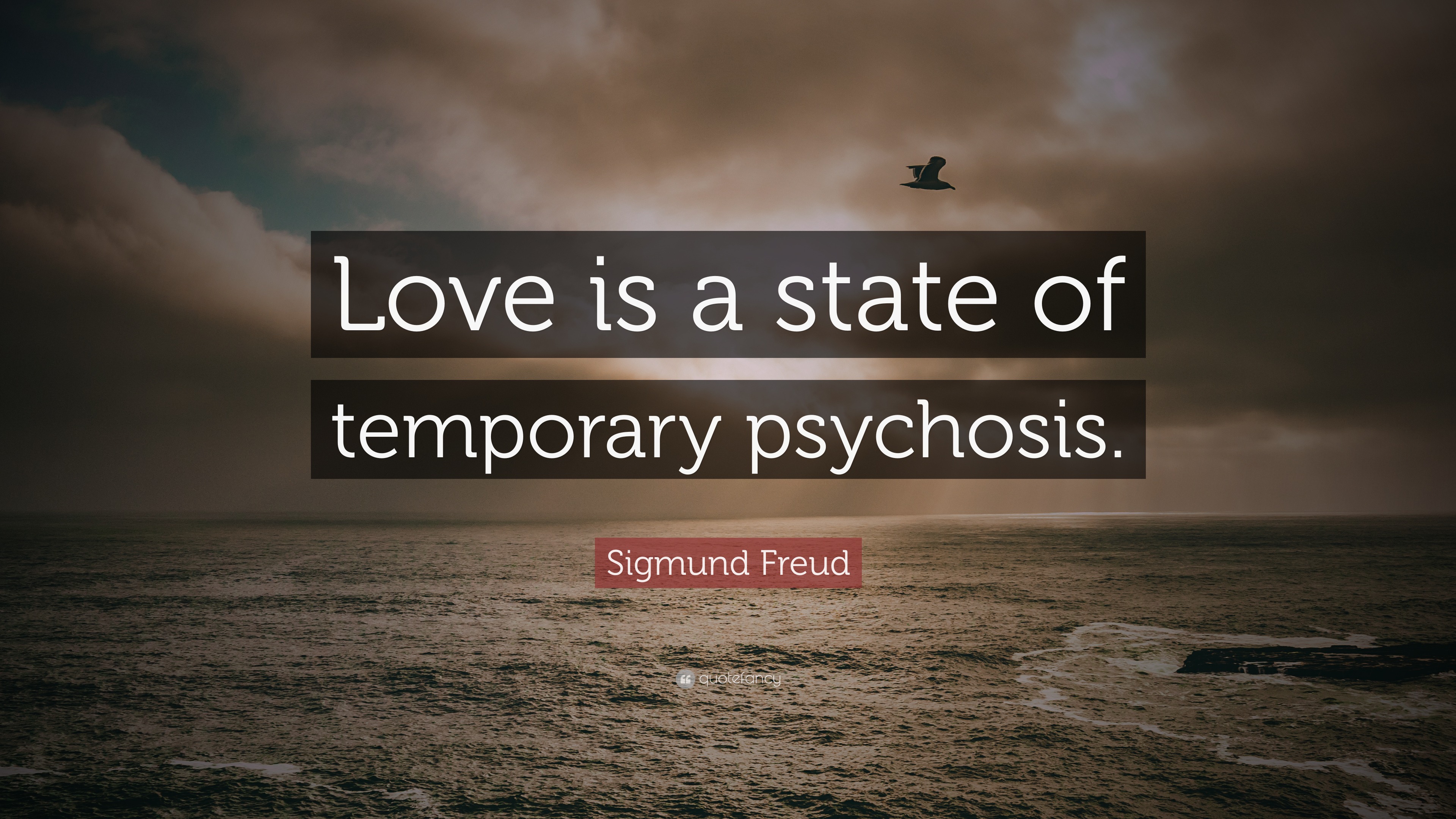 Sigmund Freud Quote: “Love is a state of temporary psychosis.”
