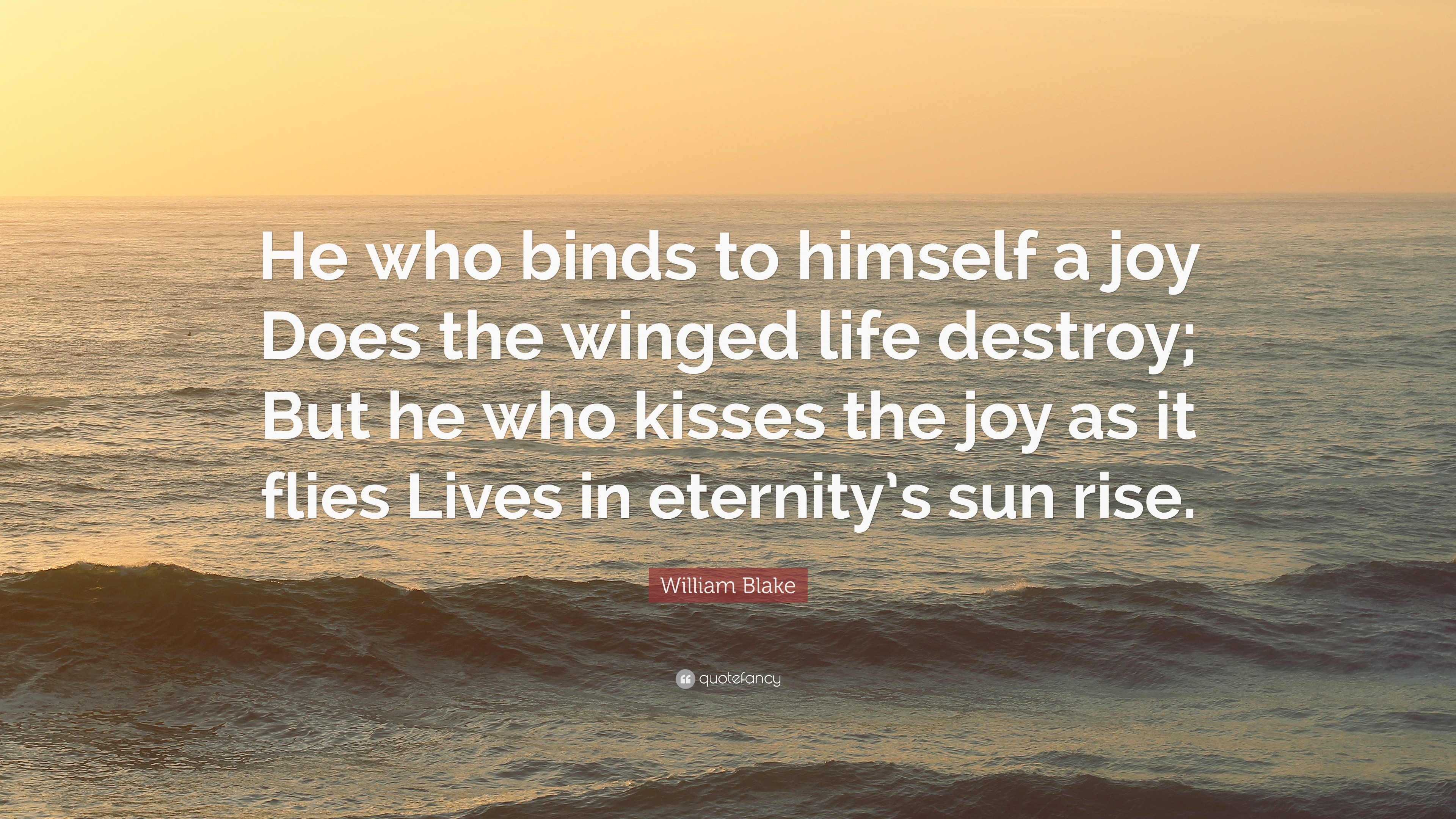 William Blake Quote: “He who binds to himself a joy Does the winged ...