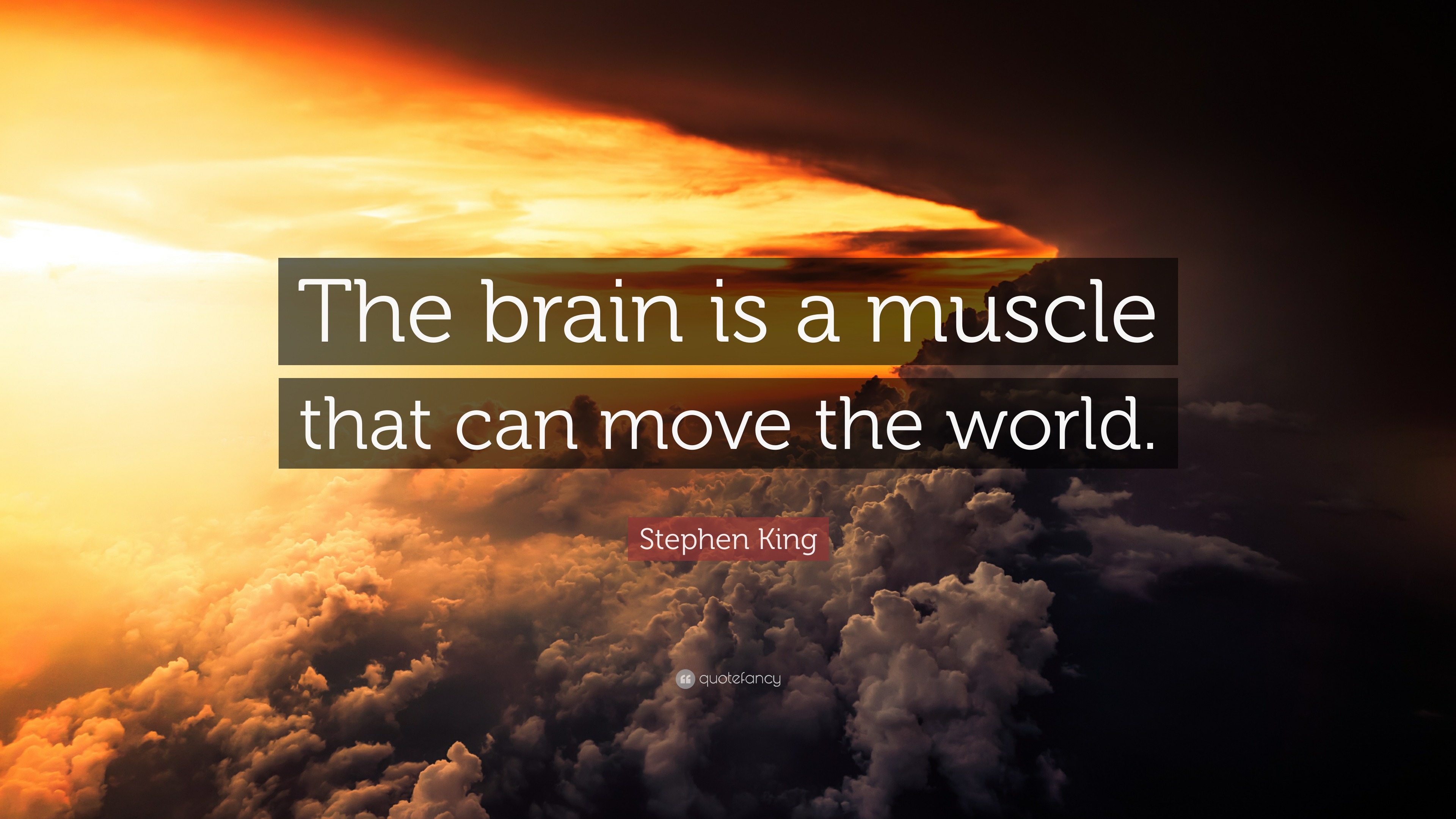 Stephen King Quote: “The brain is a muscle that can move the world.”