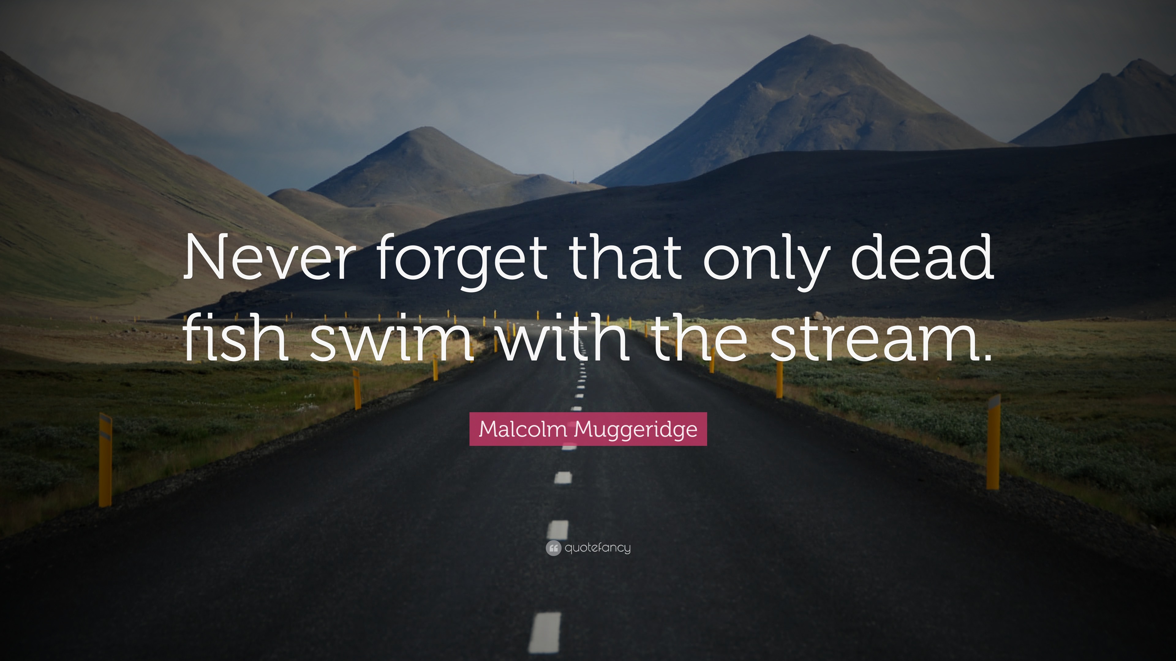 Malcolm Muggeridge Quote: “Never forget that only dead fish swim with ...