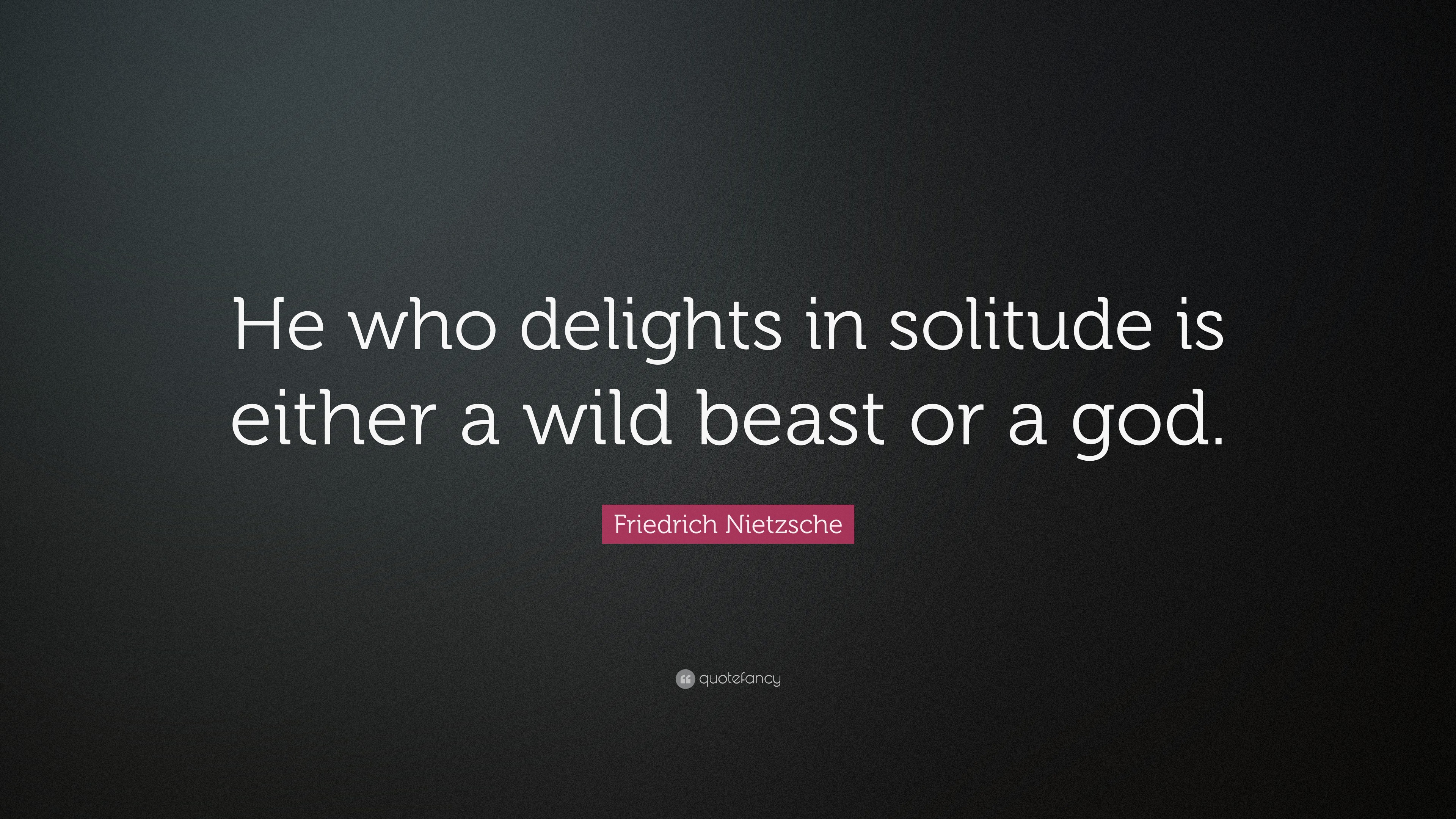 Friedrich Nietzsche Quote: “He who delights in solitude is either a ...