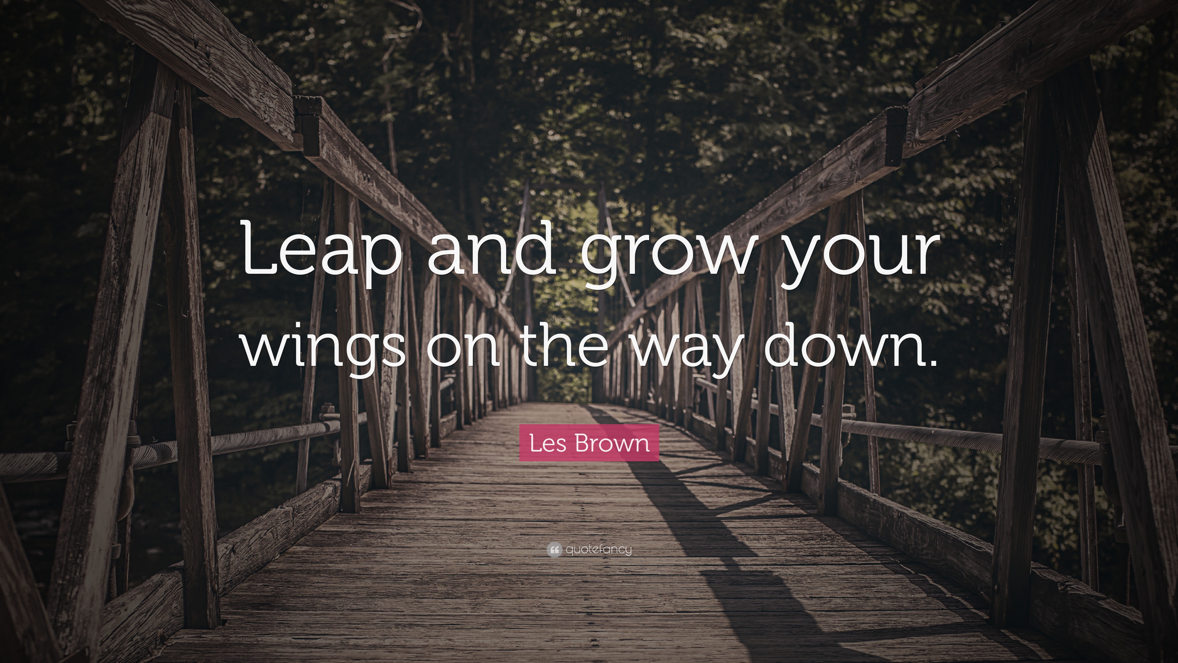 Les Brown Quote: “Leap and grow your wings on the way down.”