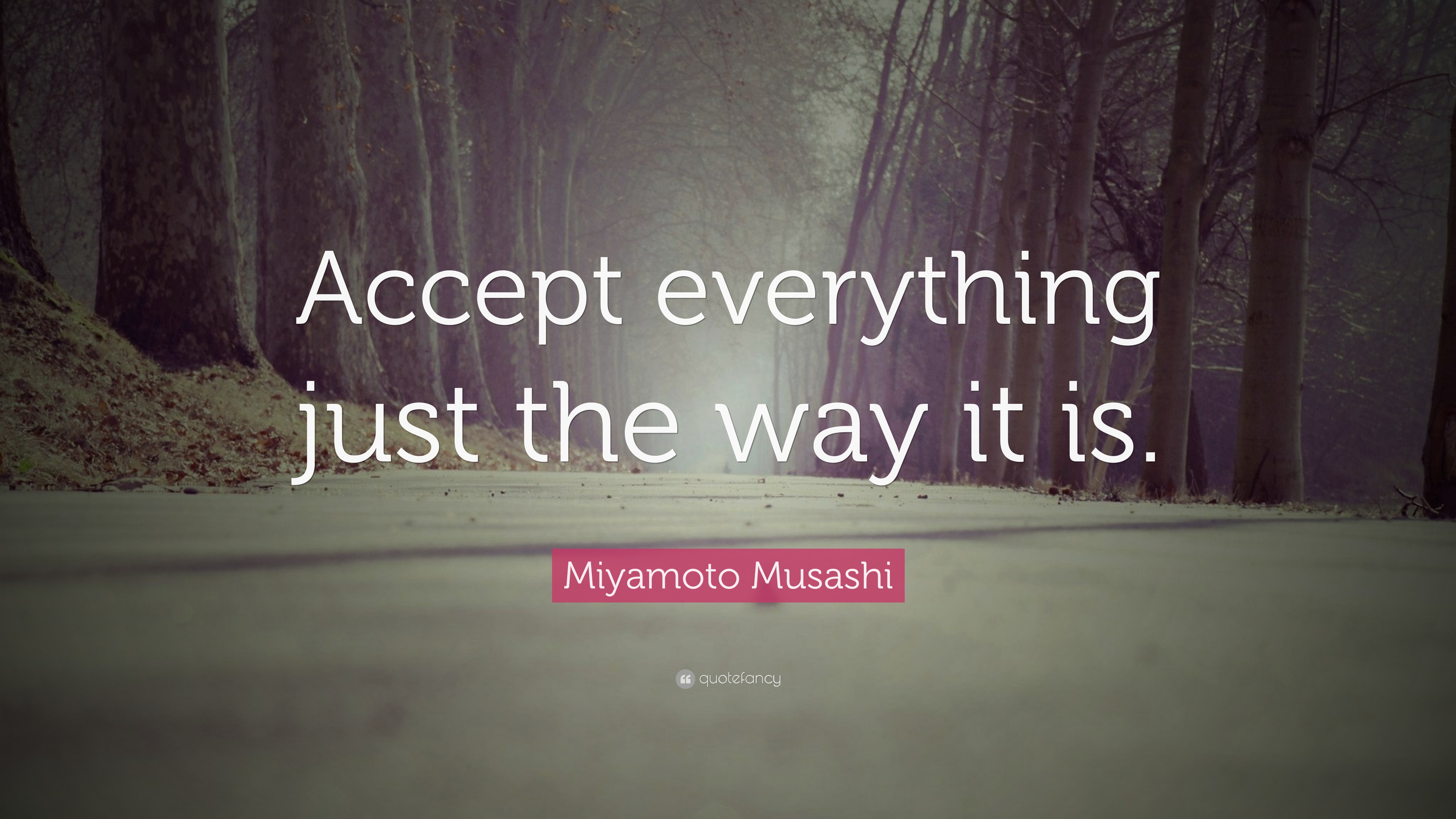 Miyamoto Musashi Quote: “Accept everything just the way it is.”