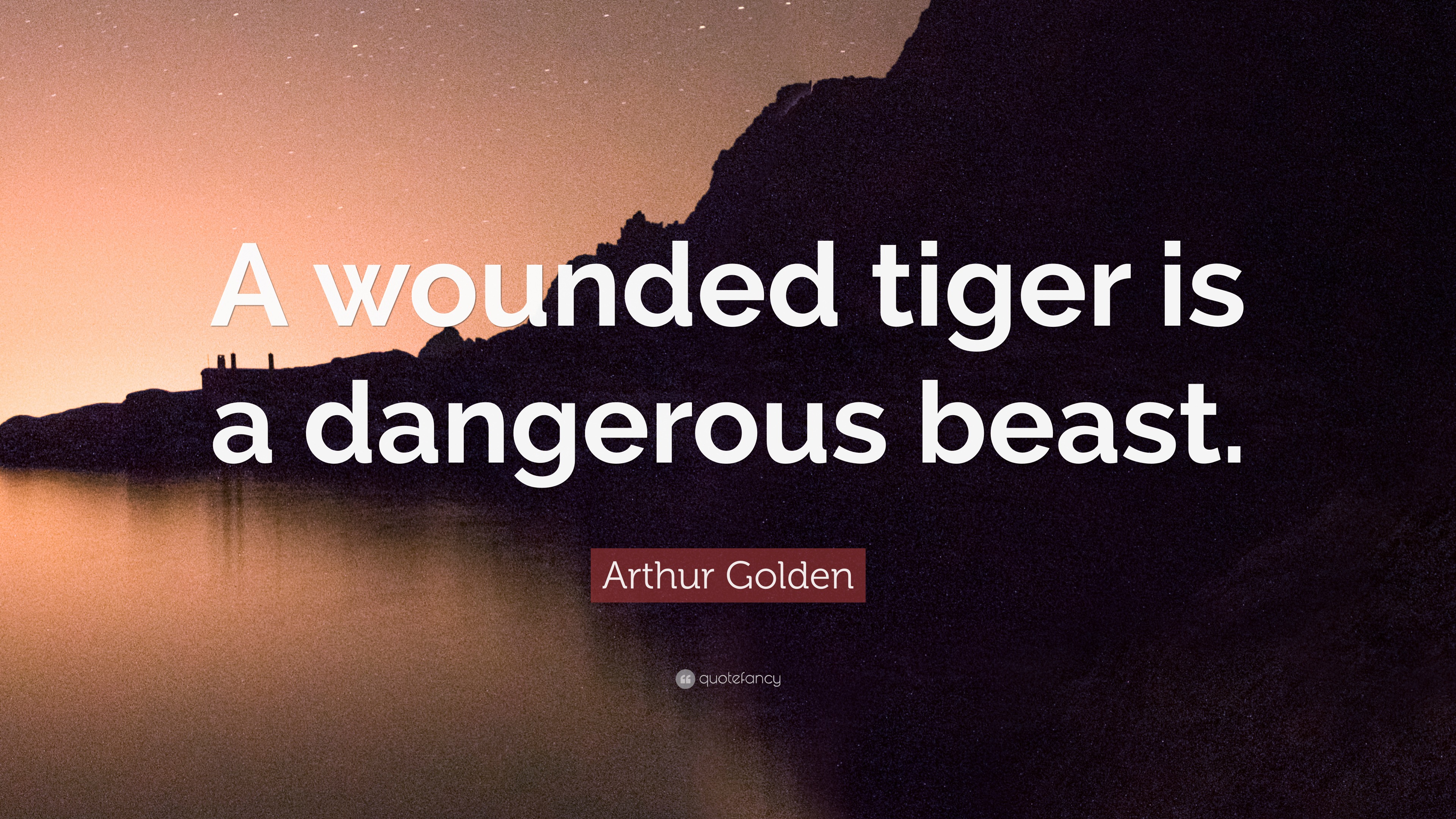 Wounded Tiger Quotes 225 Inspirational Quotes About Life And Love
