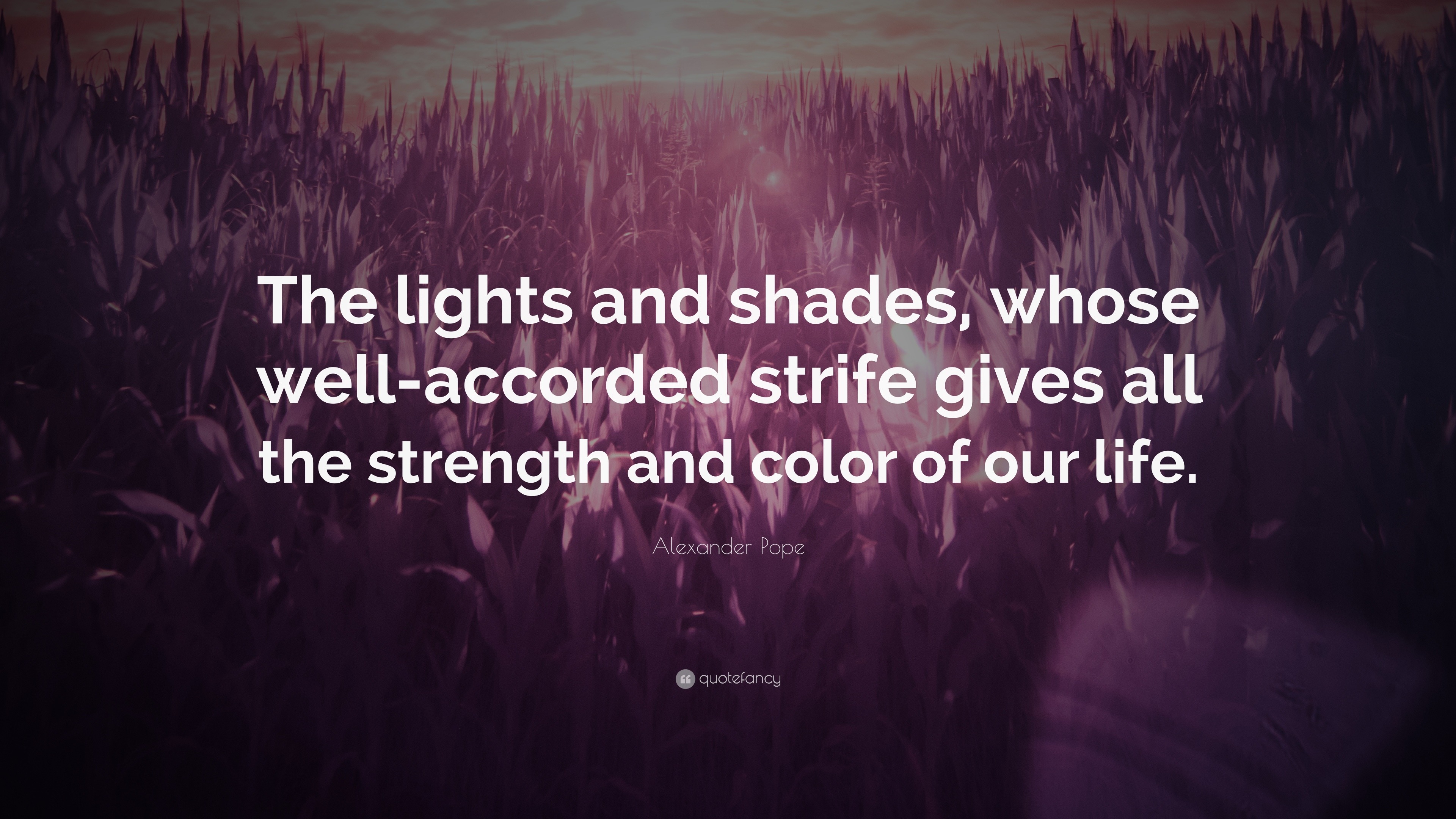 Alexander Pope Quote: “The lights and shades, whose well-accorded ...