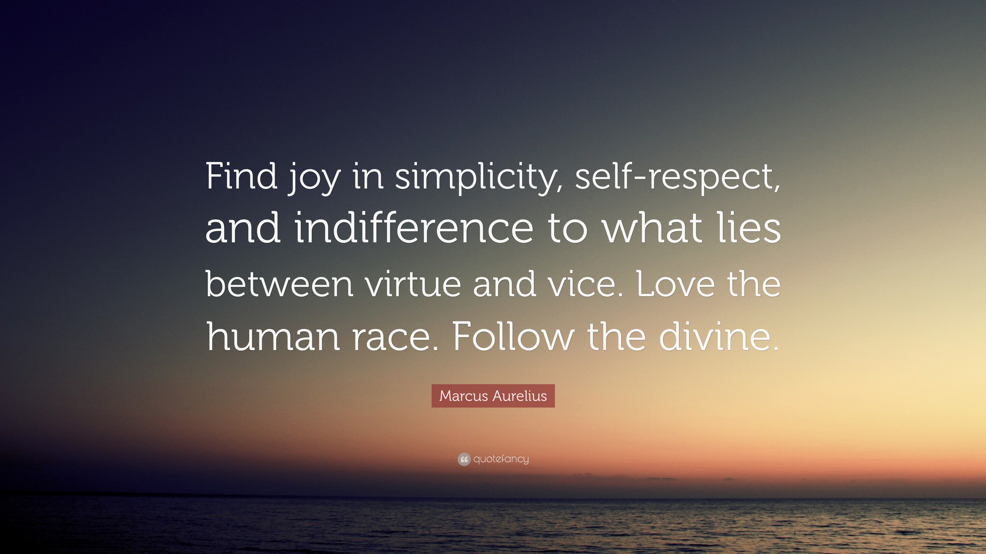 Marcus Aurelius Quote: “Find joy in simplicity, self-respect, and ...