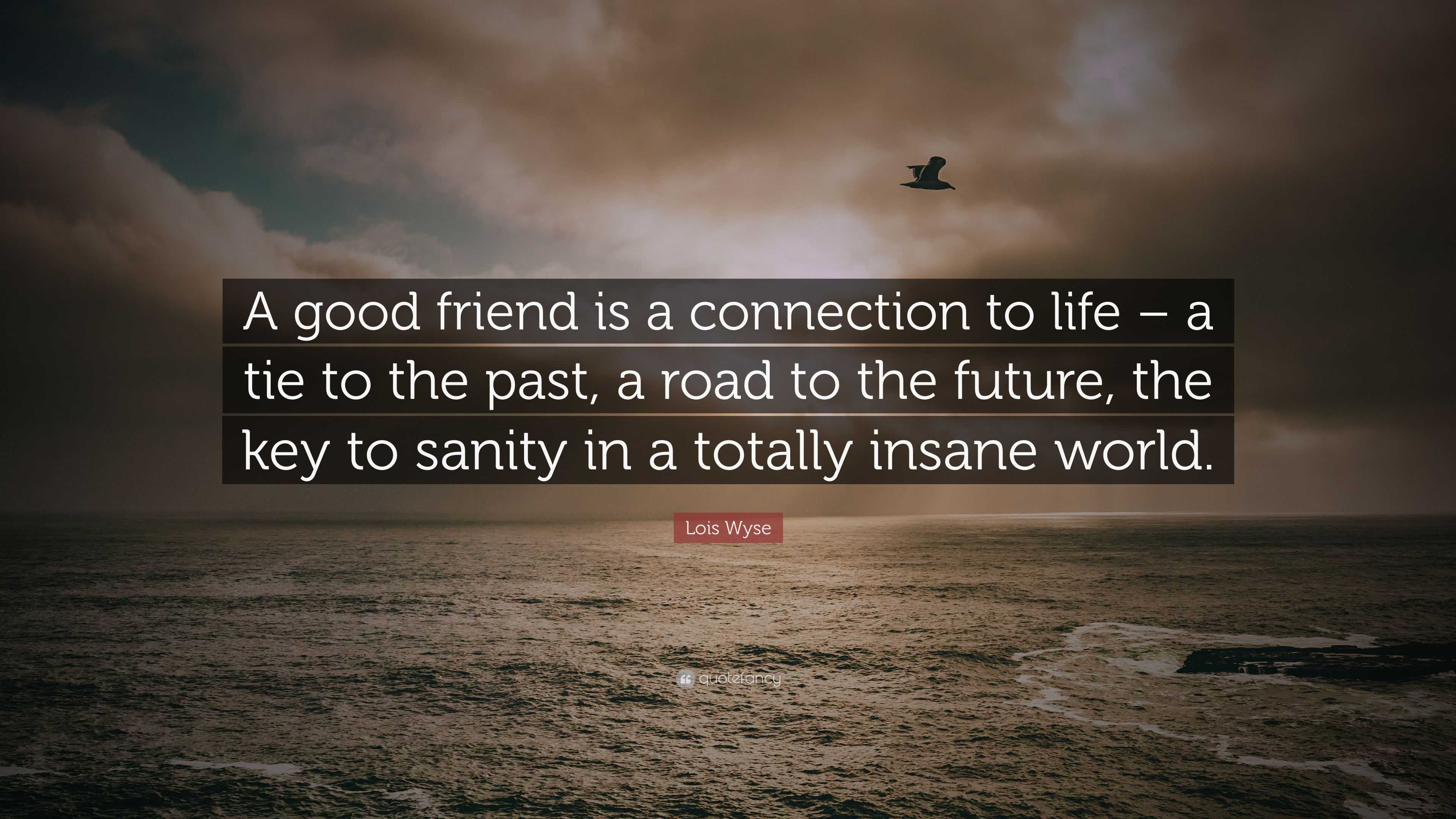 Lois Wyse Quote: “A good friend is a connection to life – a tie to the ...