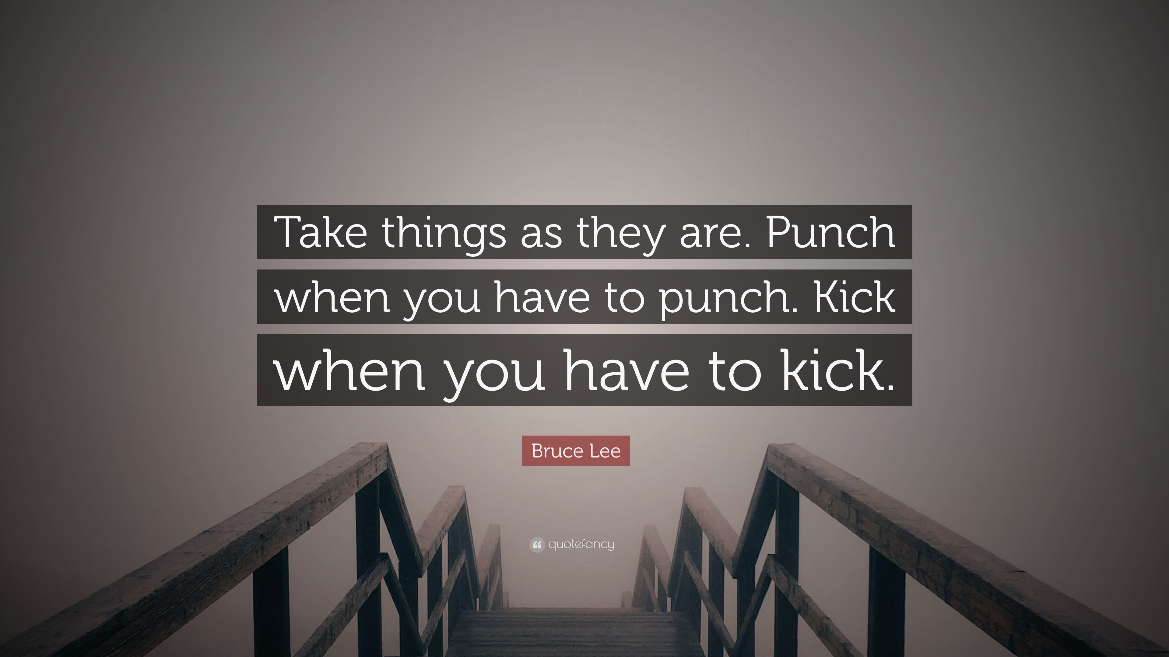 Bruce Lee Quote: “Take things as they are. Punch when you have to punch ...