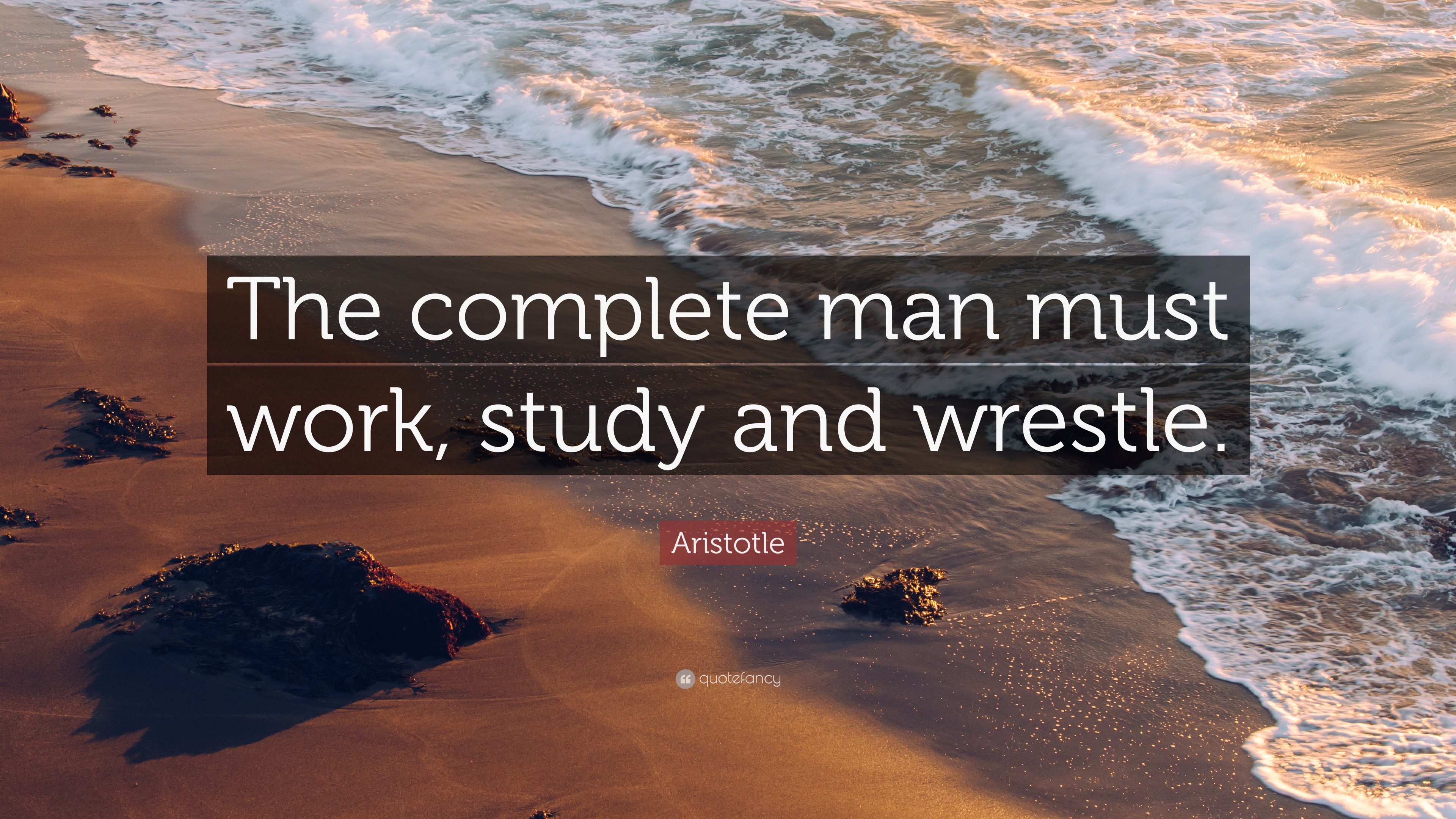 Aristotle Quote: “The complete man must work, study and wrestle.”