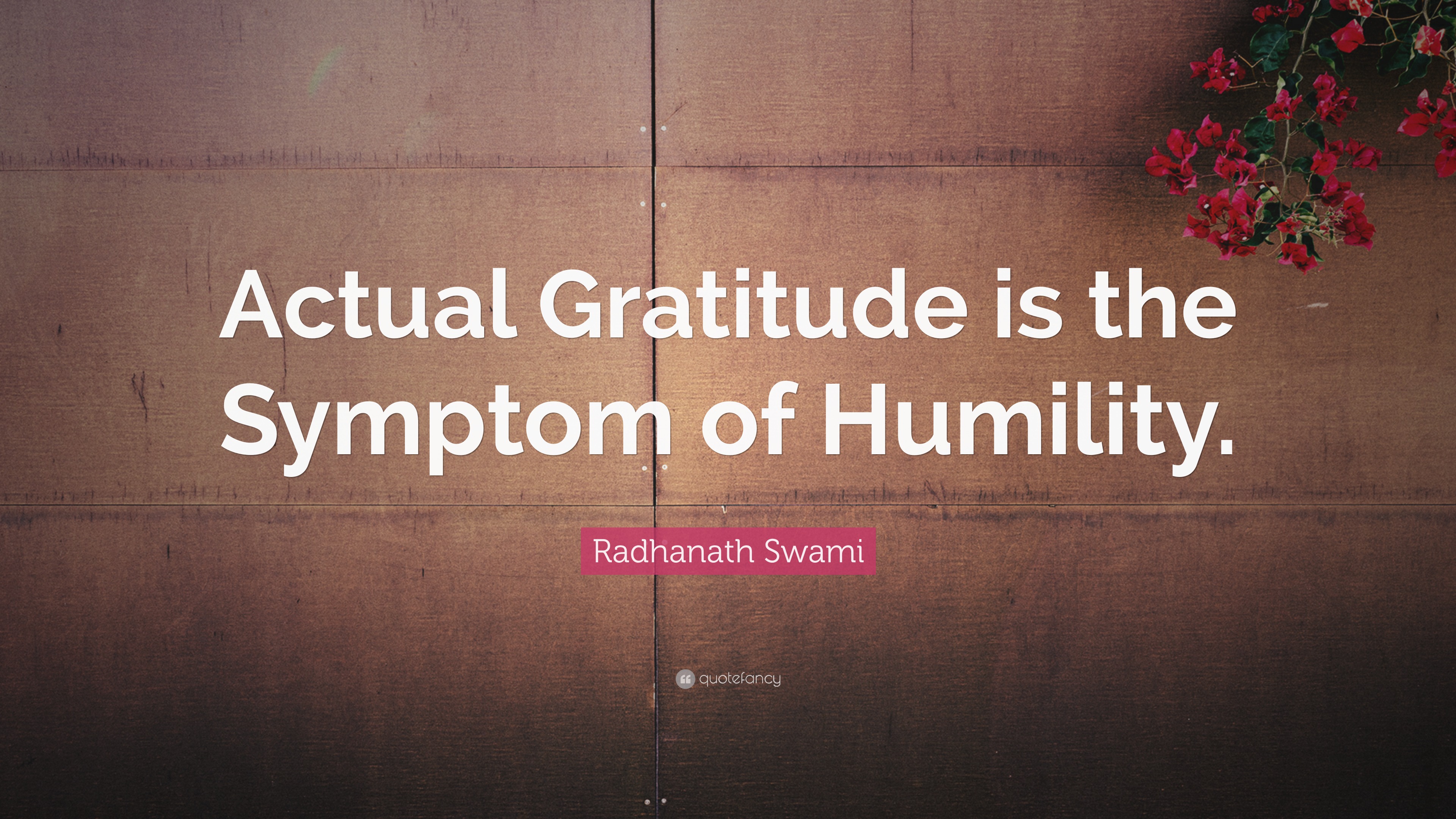 Radhanath Swami Quote: “Actual Gratitude is the Symptom of Humility.”