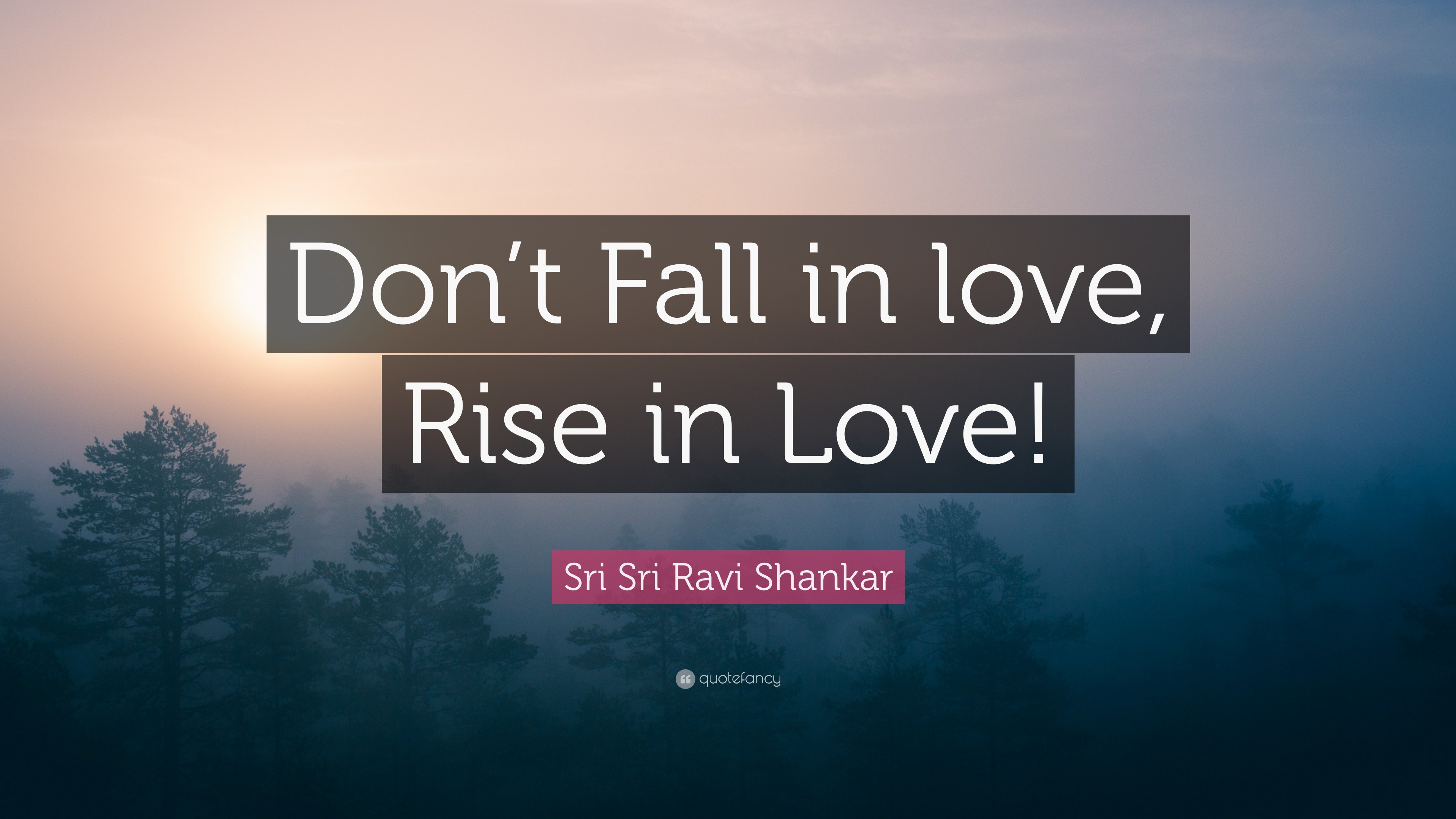 Sri Sri Ravi Shankar Quote: “Don’t Fall in love, Rise in Love!”