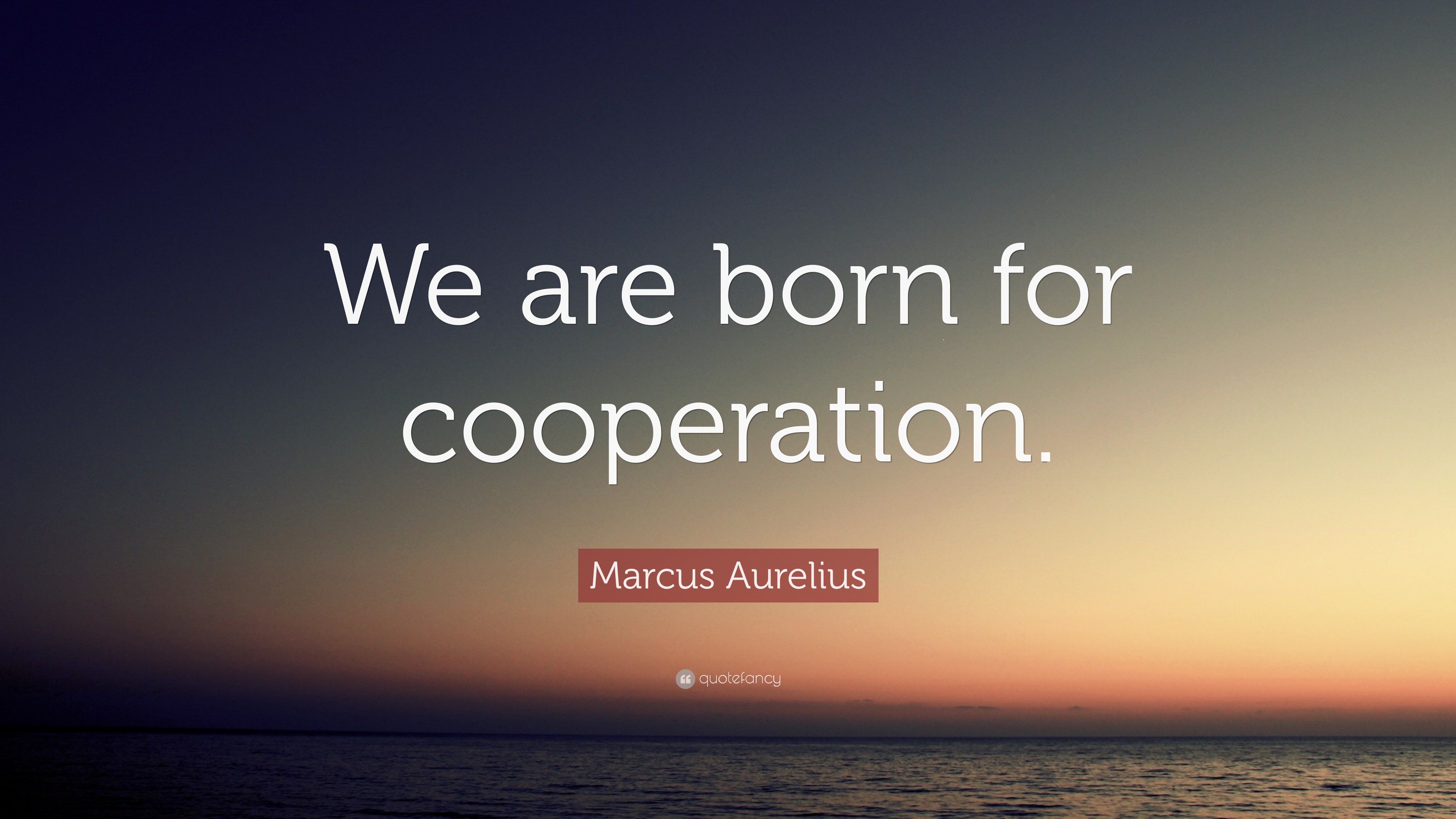 Marcus Aurelius Quote: “We are born for cooperation.”