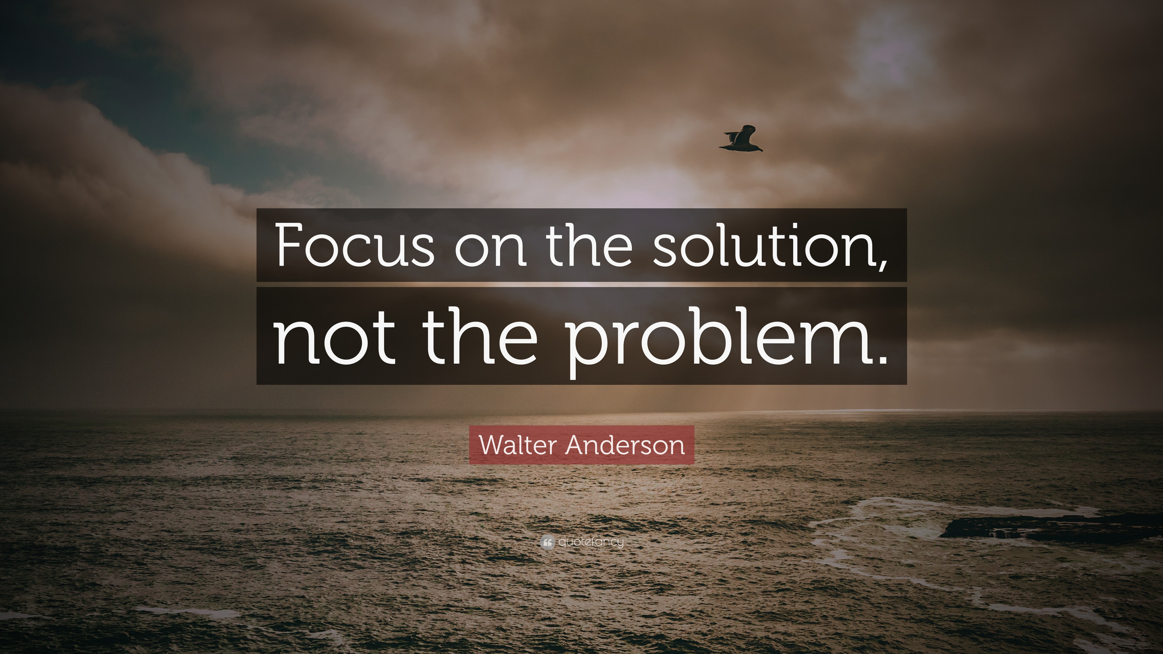Walter Anderson Quote: “Focus on the solution, not the problem.”