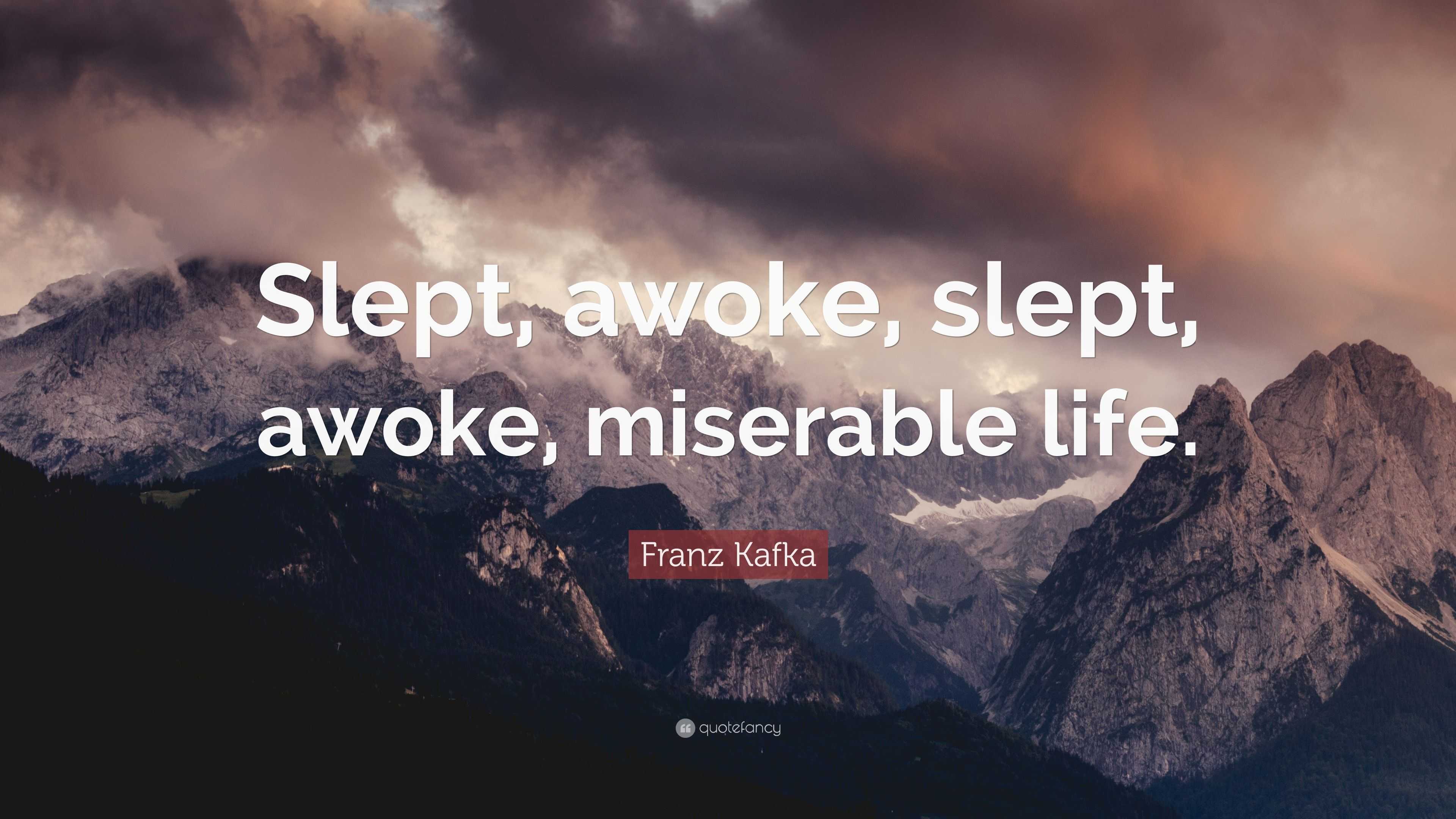 Franz Kafka Quote: “Slept, awoke, slept, awoke, miserable life.”