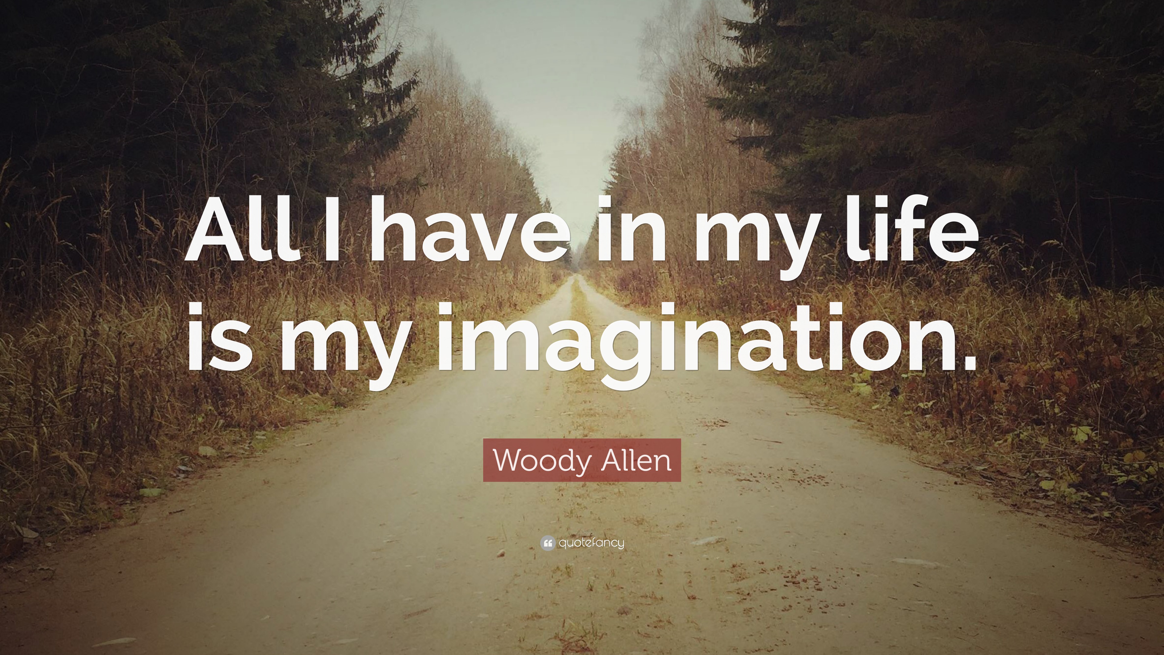 Woody Allen Quote: “All I have in my life is my imagination.”