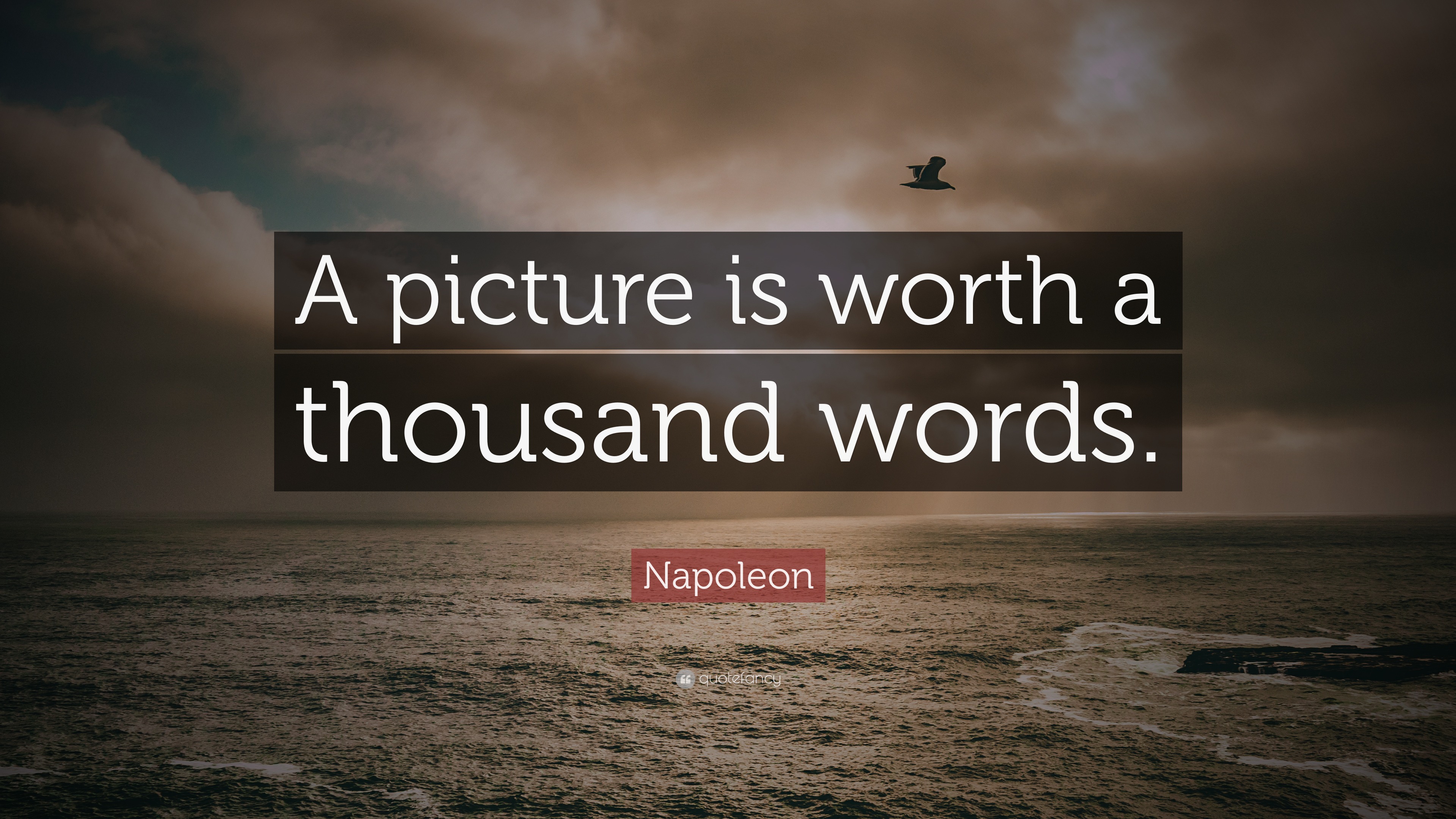 Napoleon Quote: “A picture is worth a thousand words.”
