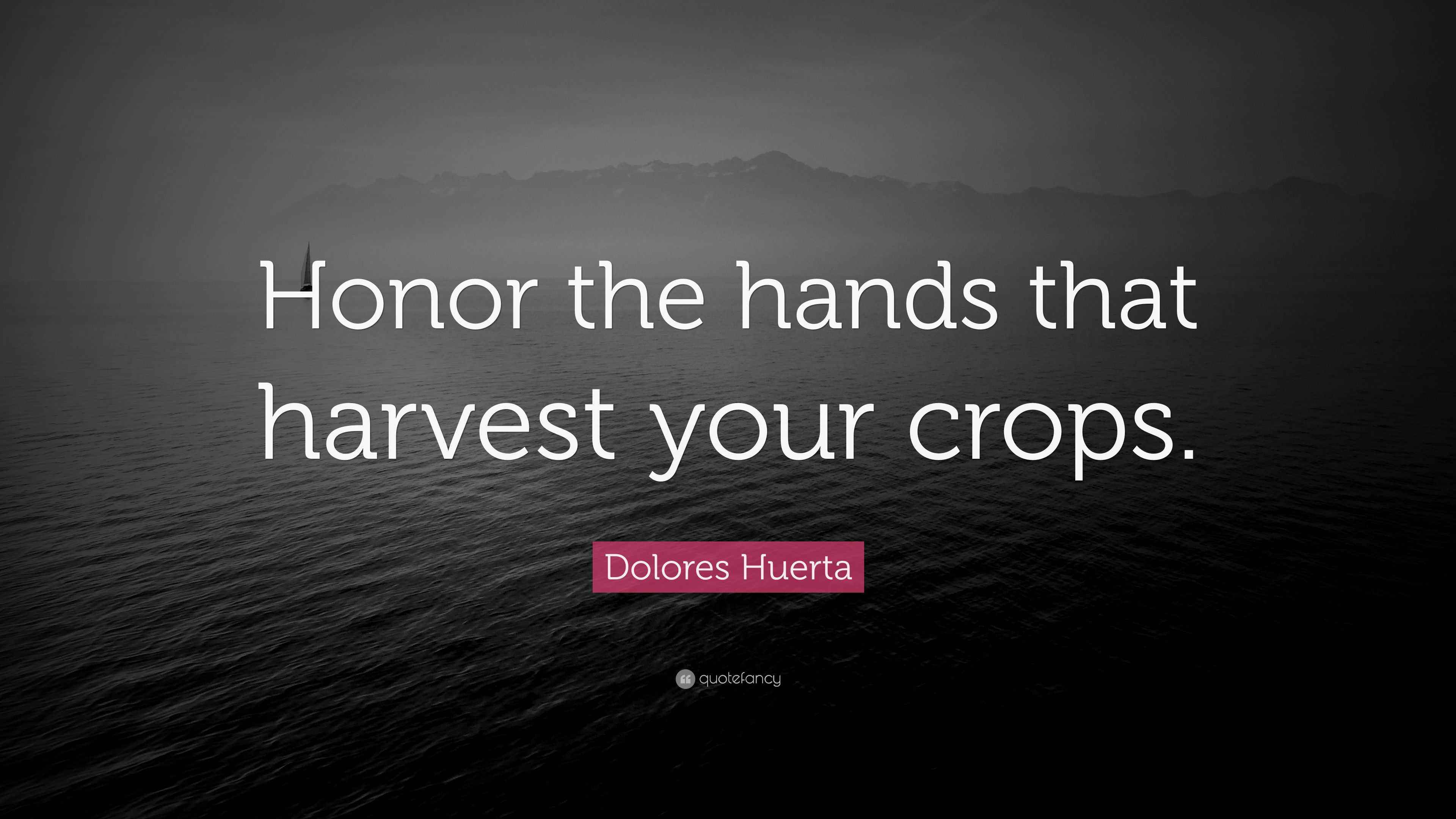 Dolores Huerta Quote: “Honor the hands that harvest your crops.”
